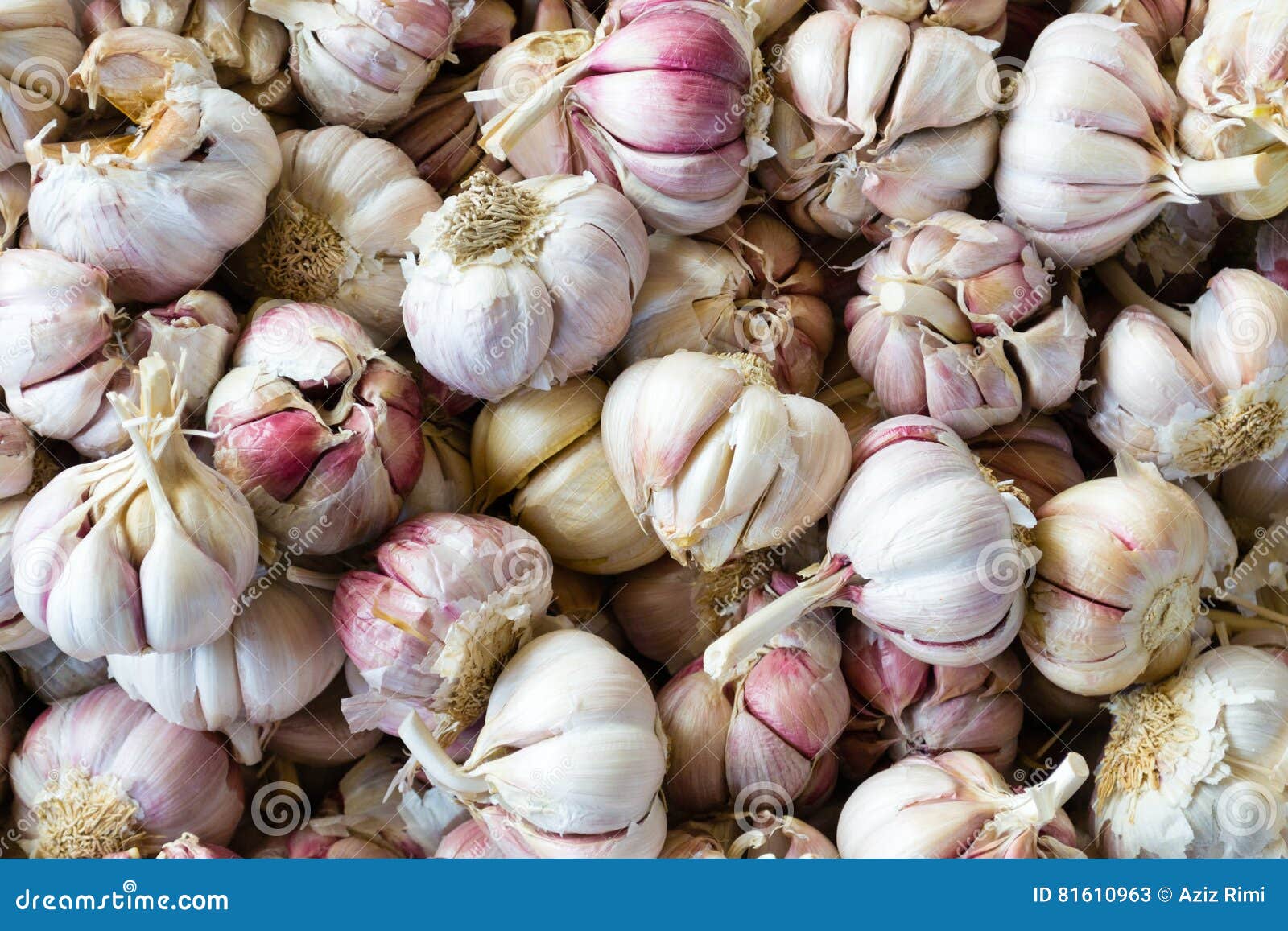 L'ail Frais D'ampoules Dirige Trois Image stock - Image du sorts ...