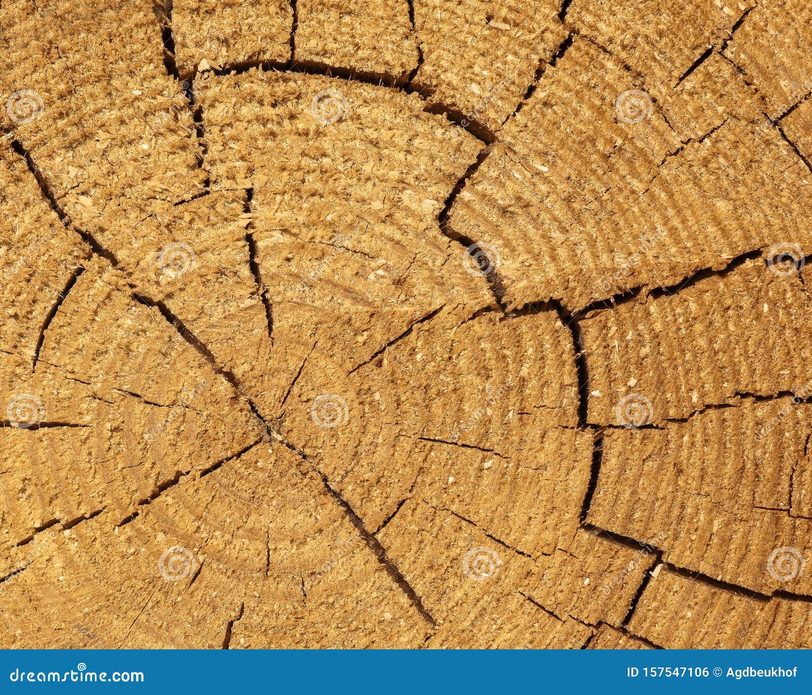 L'art De La Nature : Structures Naturelles / Texture Photo stock ...