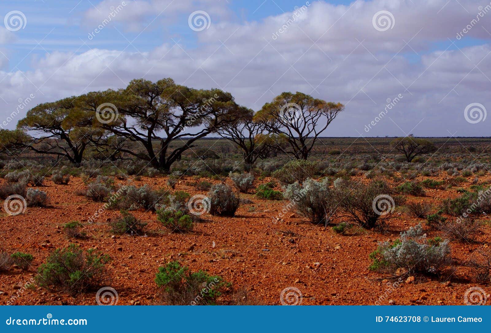 L'Australia centrale arida fotografia stock. Immagine di bordo - 74623708