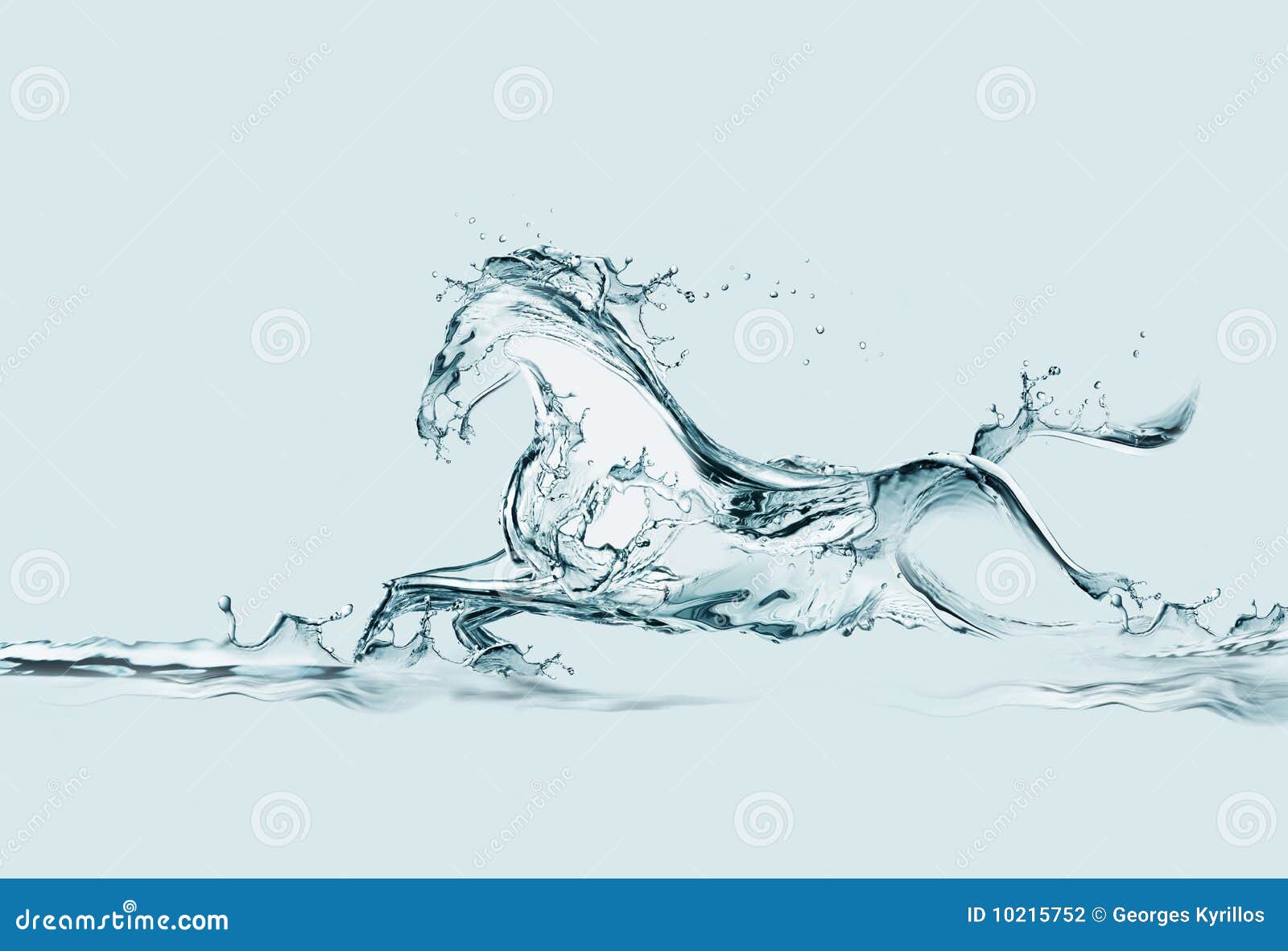 L'eau de cheval photo stock. Image du bleu, animal, étalon - 10215752