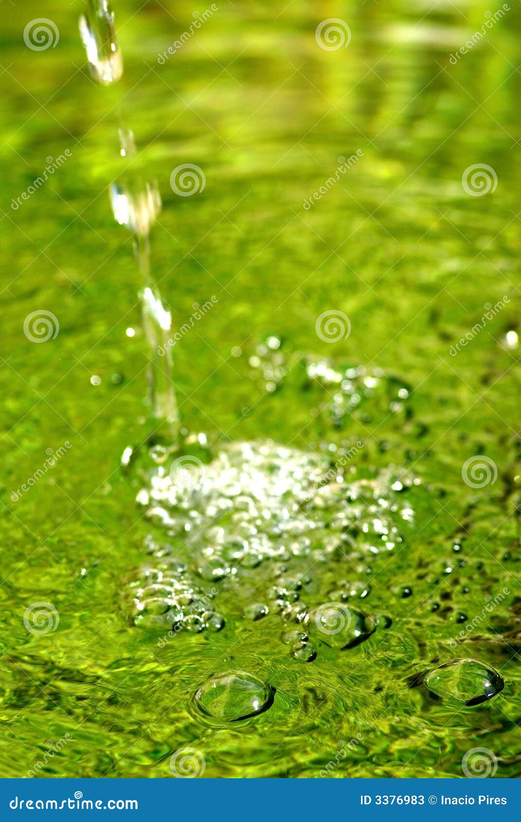L'eau verte de la source image stock. Image du action - 3376983