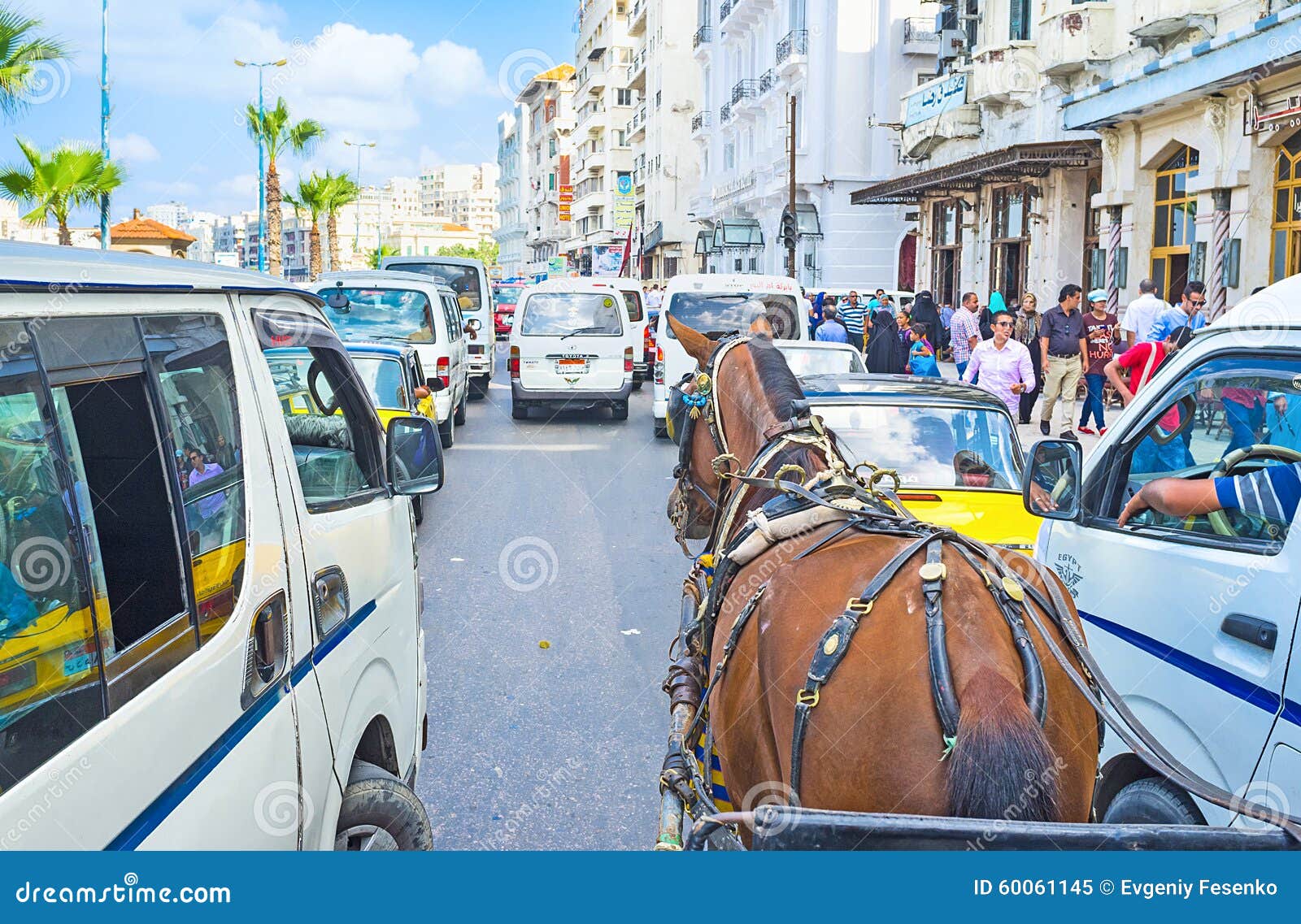 L'embouteillage image éditorial. Image du urbain, cheval - 60061145