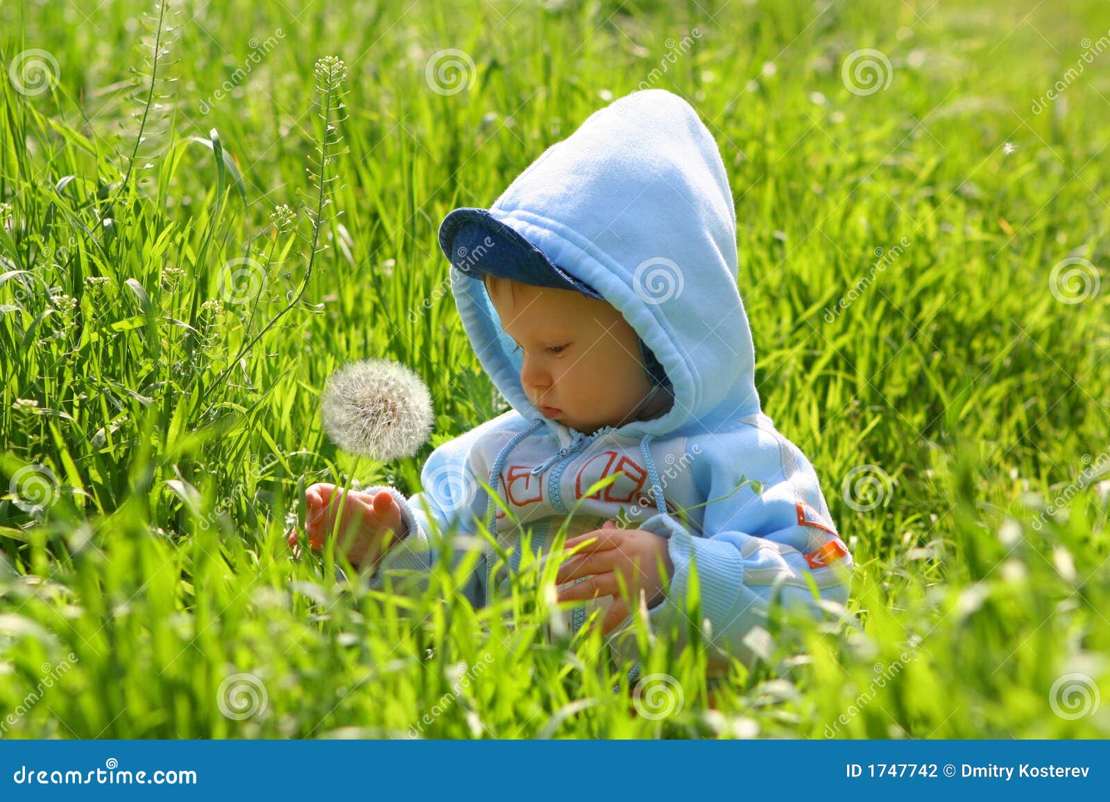 L'enfant Explorent La Nature Photo stock - Image du durée, main: 1747742