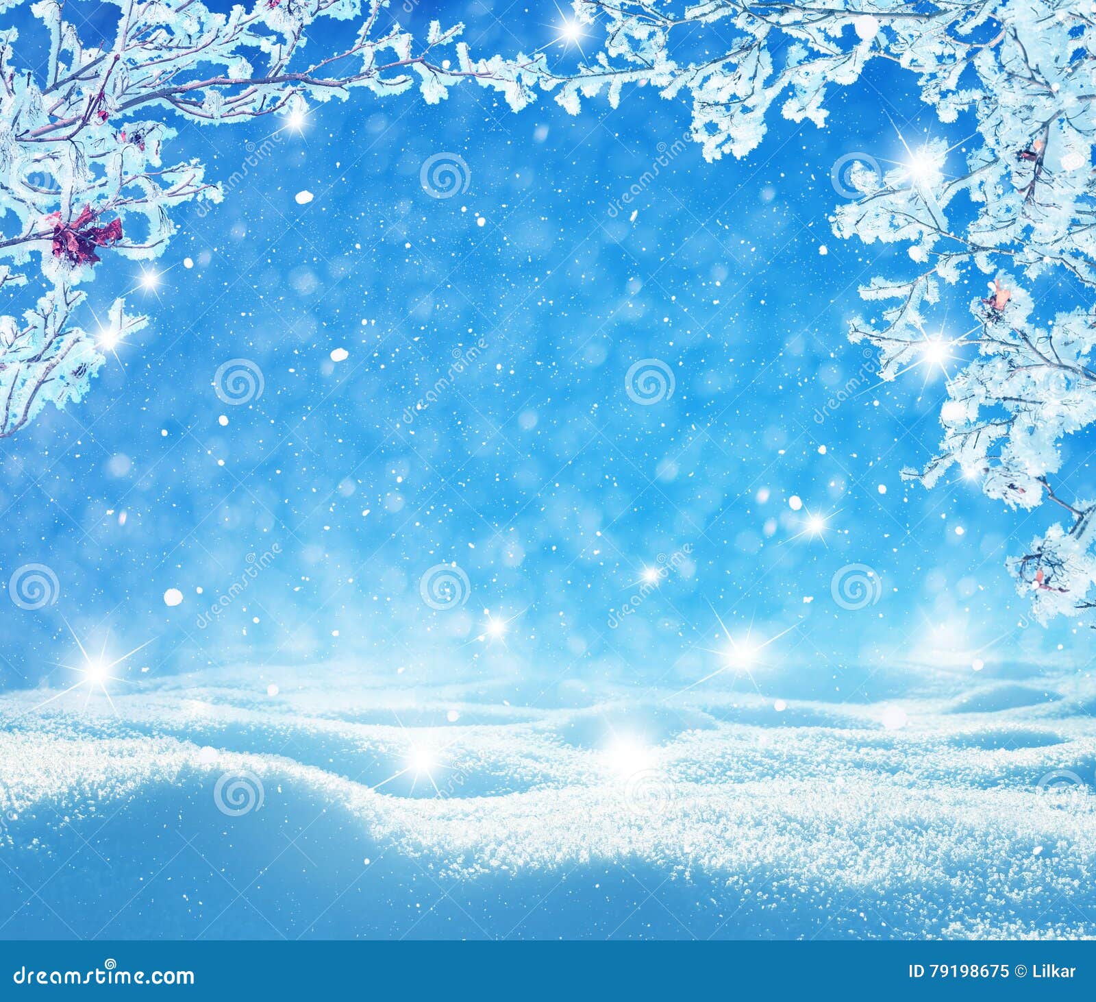L'hiver background image stock. Image du lumière, horizontal - 79198675
