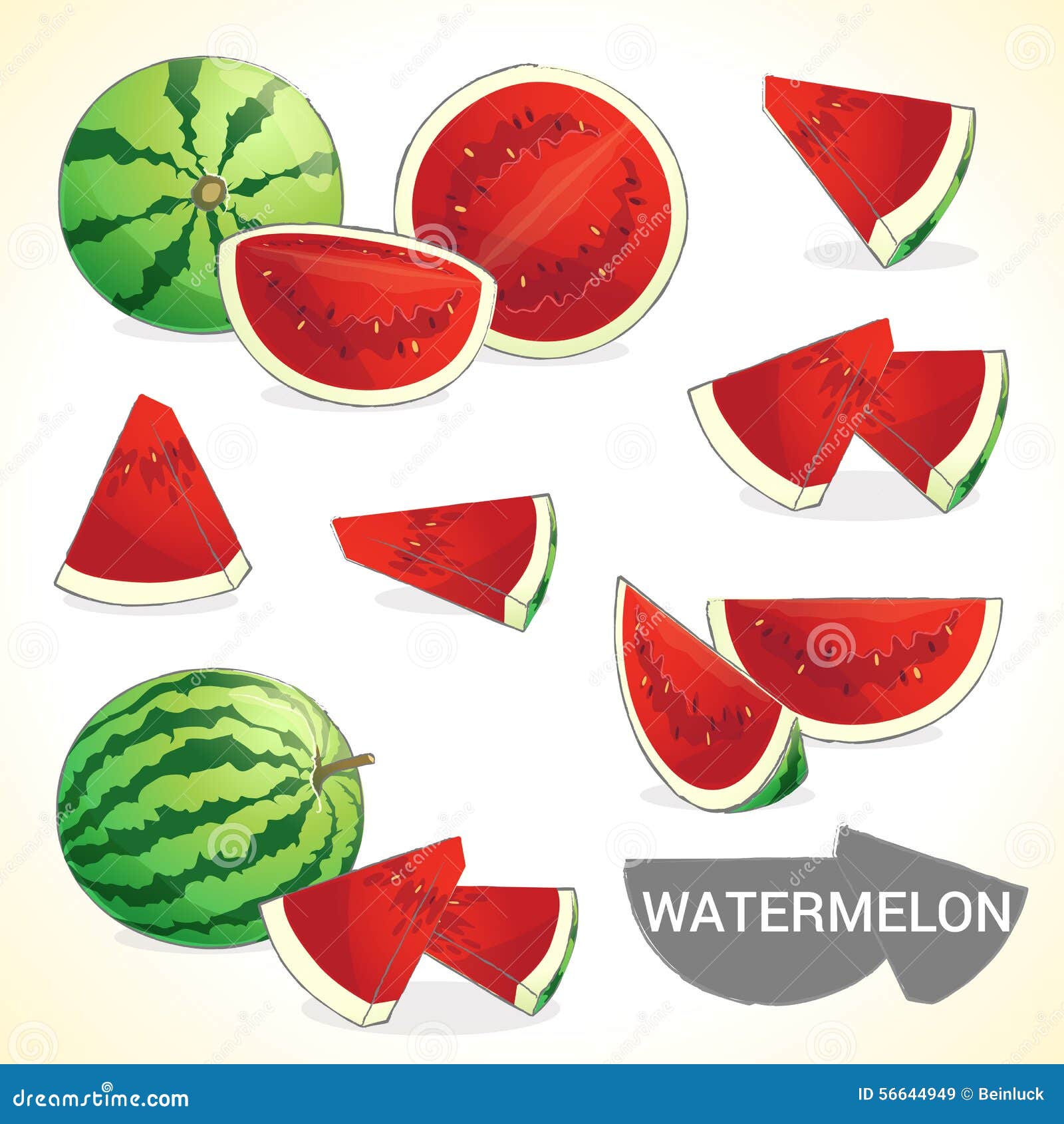 L'insieme Dell'anguria in Vari Stili Vector Il Formato Illustrazione ...