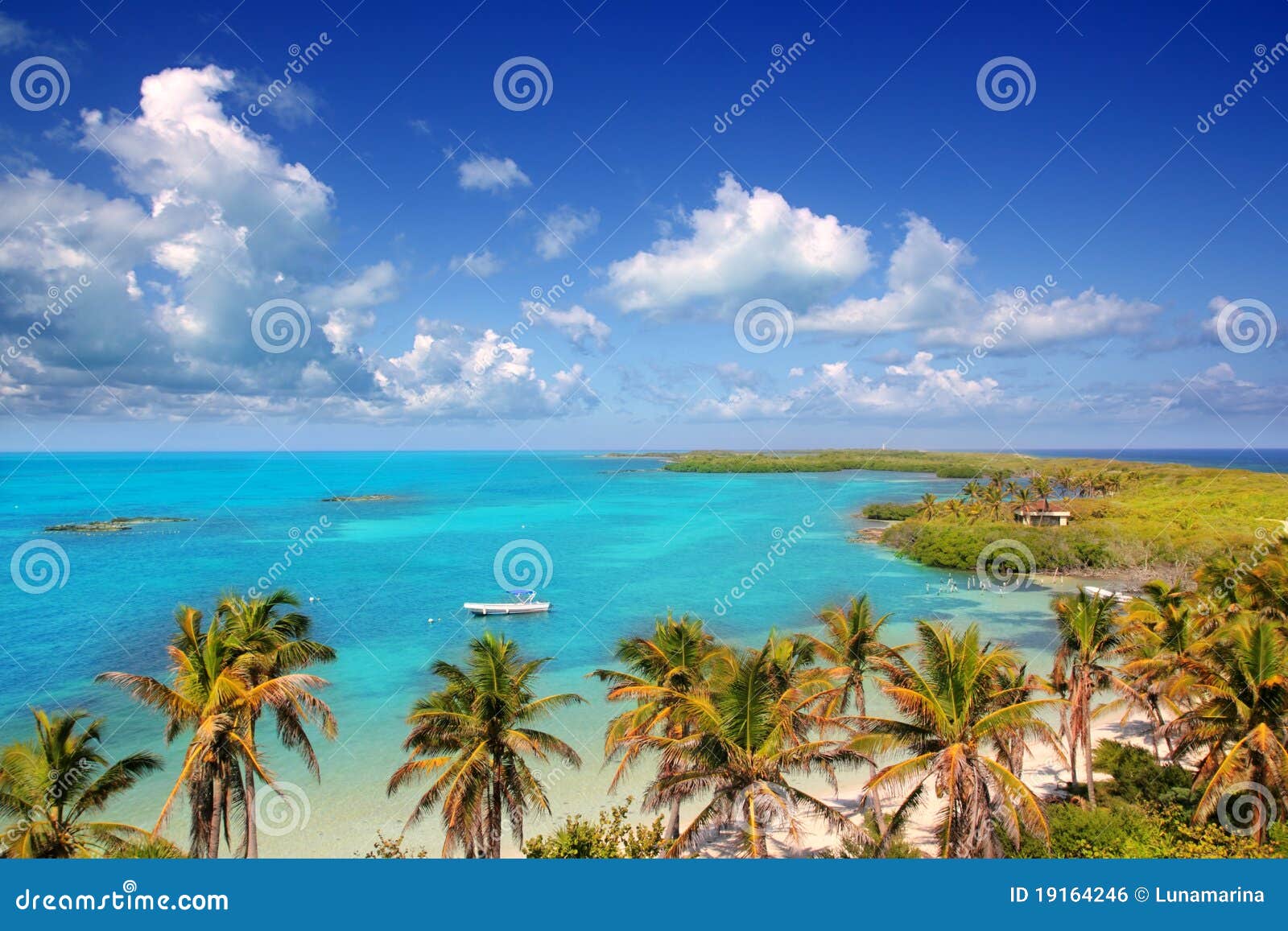 L'isola Dei Caraibi Tropicale Messico Di Contoy Fotografia Stock ...