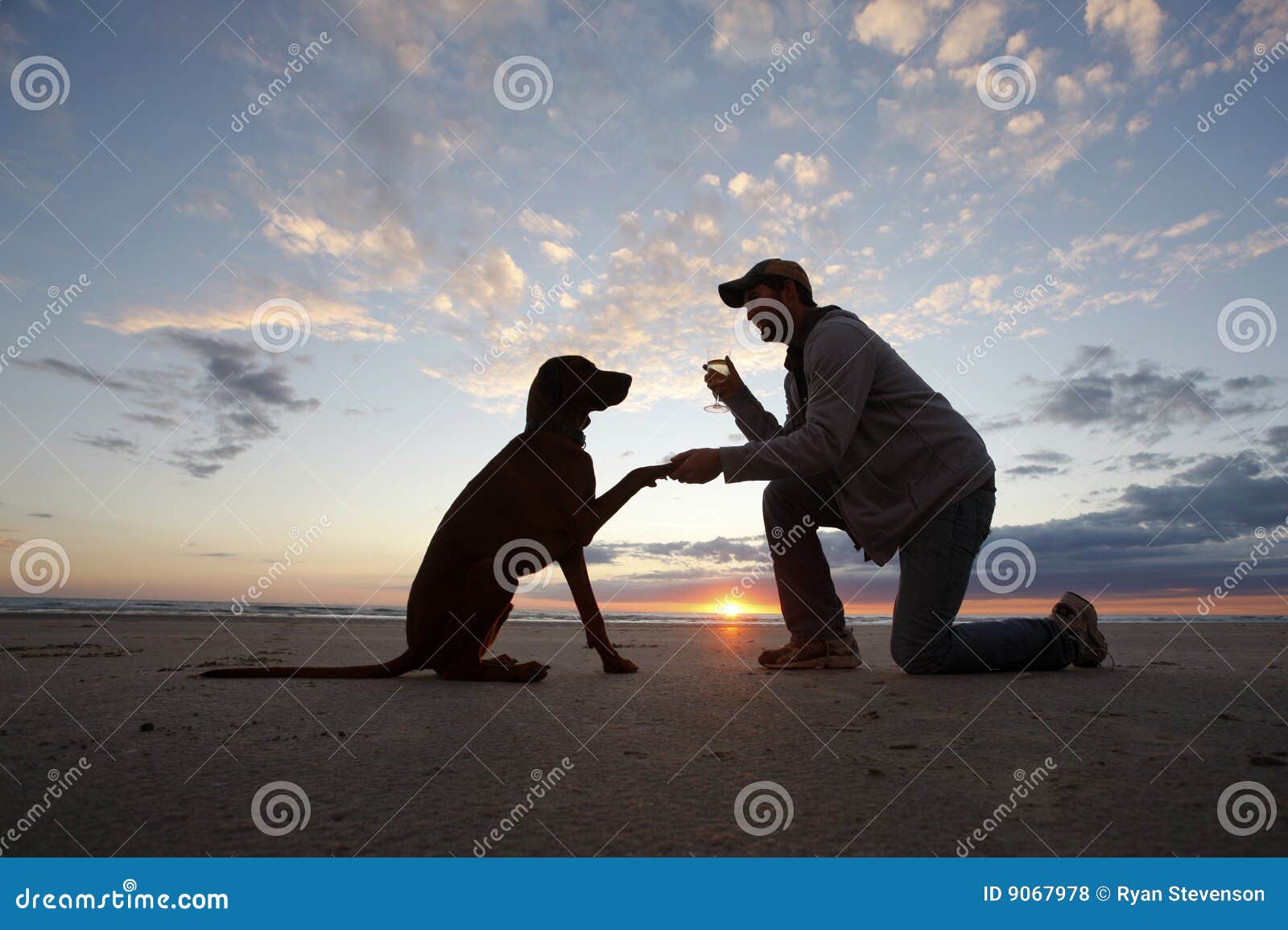 L'meilleur ami de l'homme photo stock. Image du amis, compagnie - 9067978