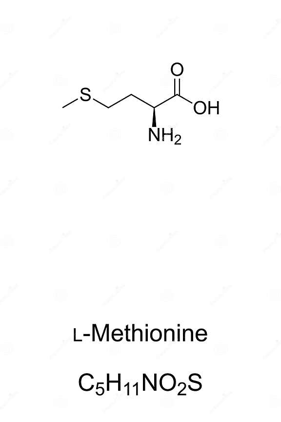 L-Methionine, Chemical Formula and Structure, Essential Amino Acid ...