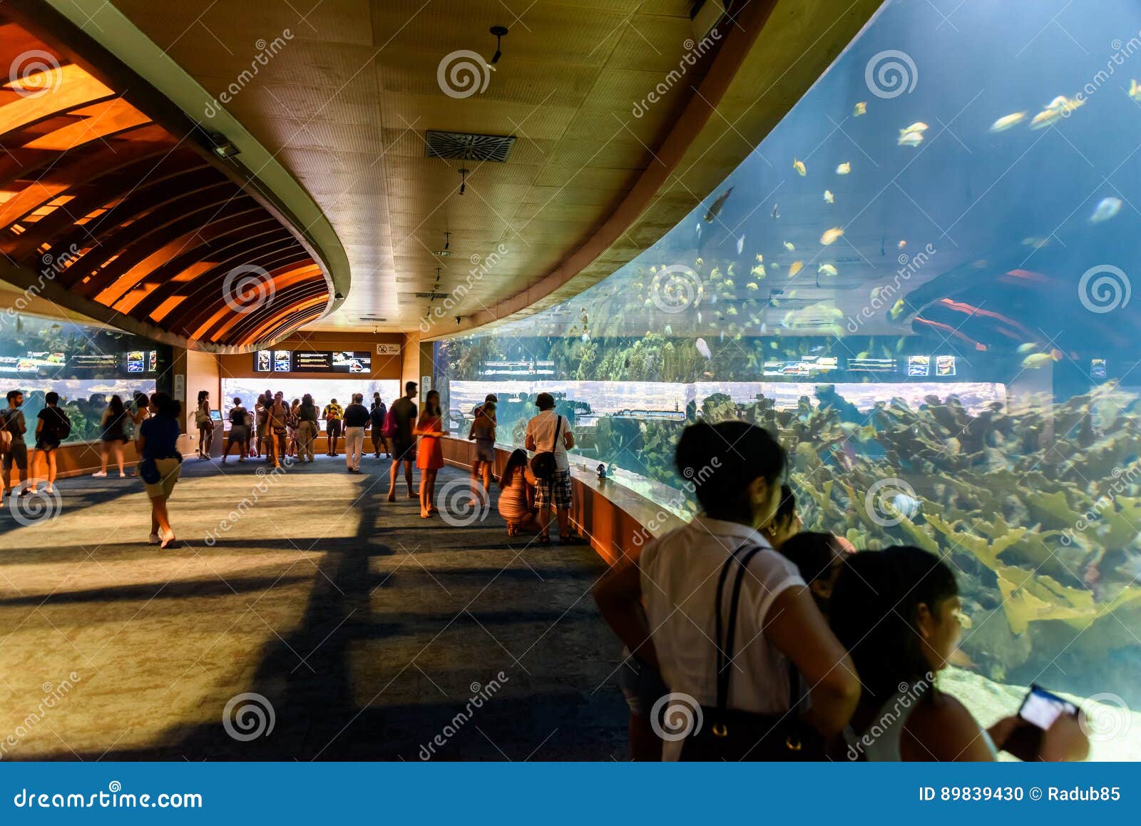 L ` Oceanografic L'oceanografico a Valencia Immagine Editoriale ...