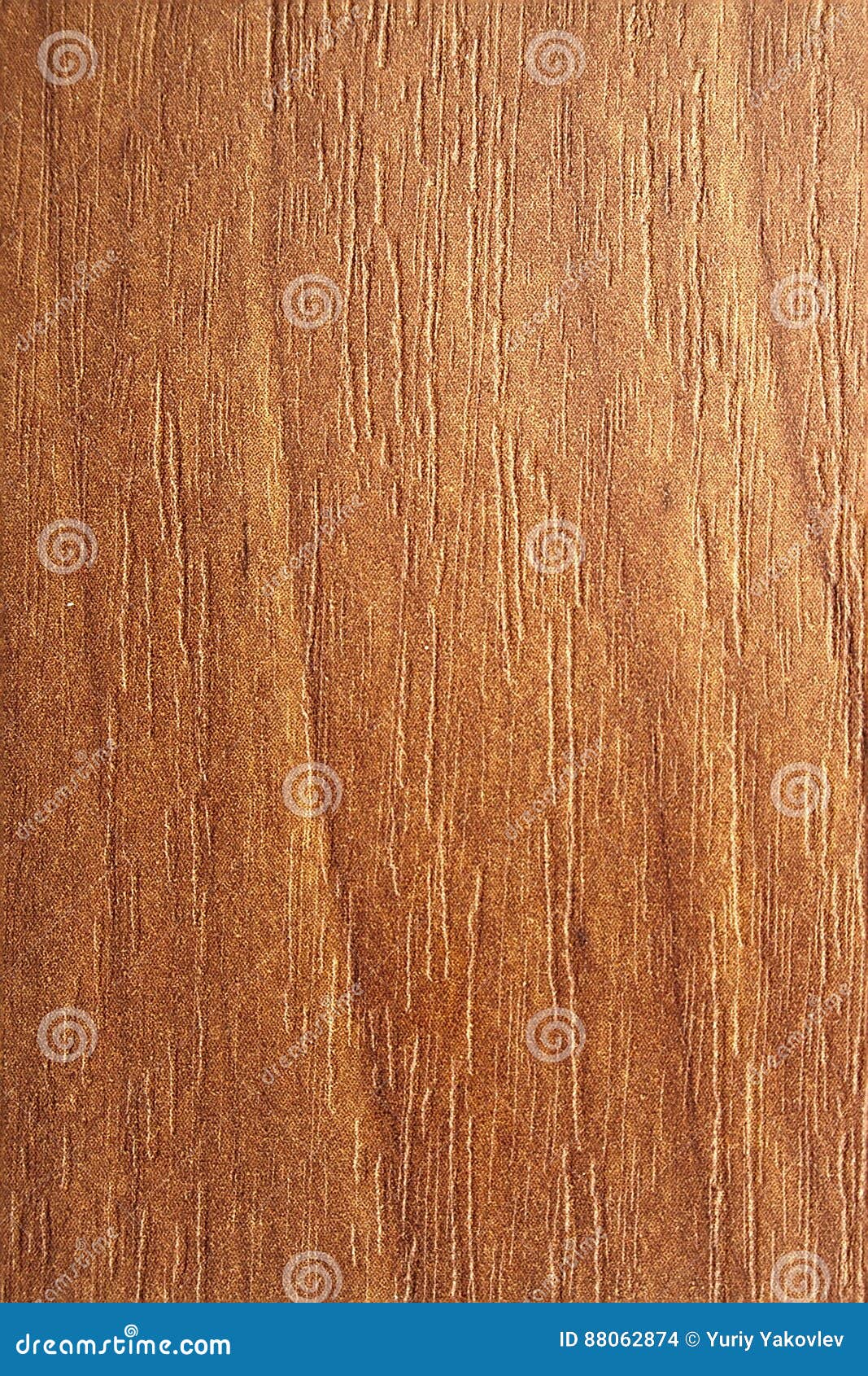 L'ontano Dipinto, Struttura Il Vecchio Legno Fotografia Stock ...