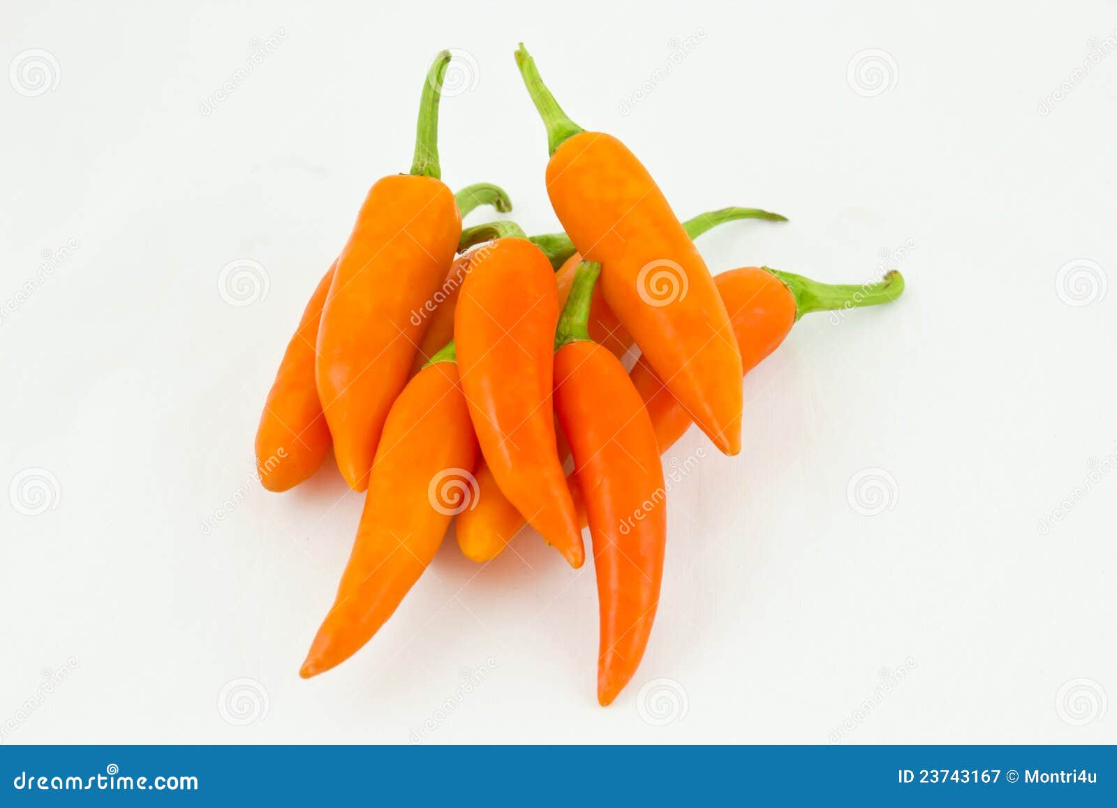 L'orange poivre le poivron image stock. Image du assaisonnement - 23743167