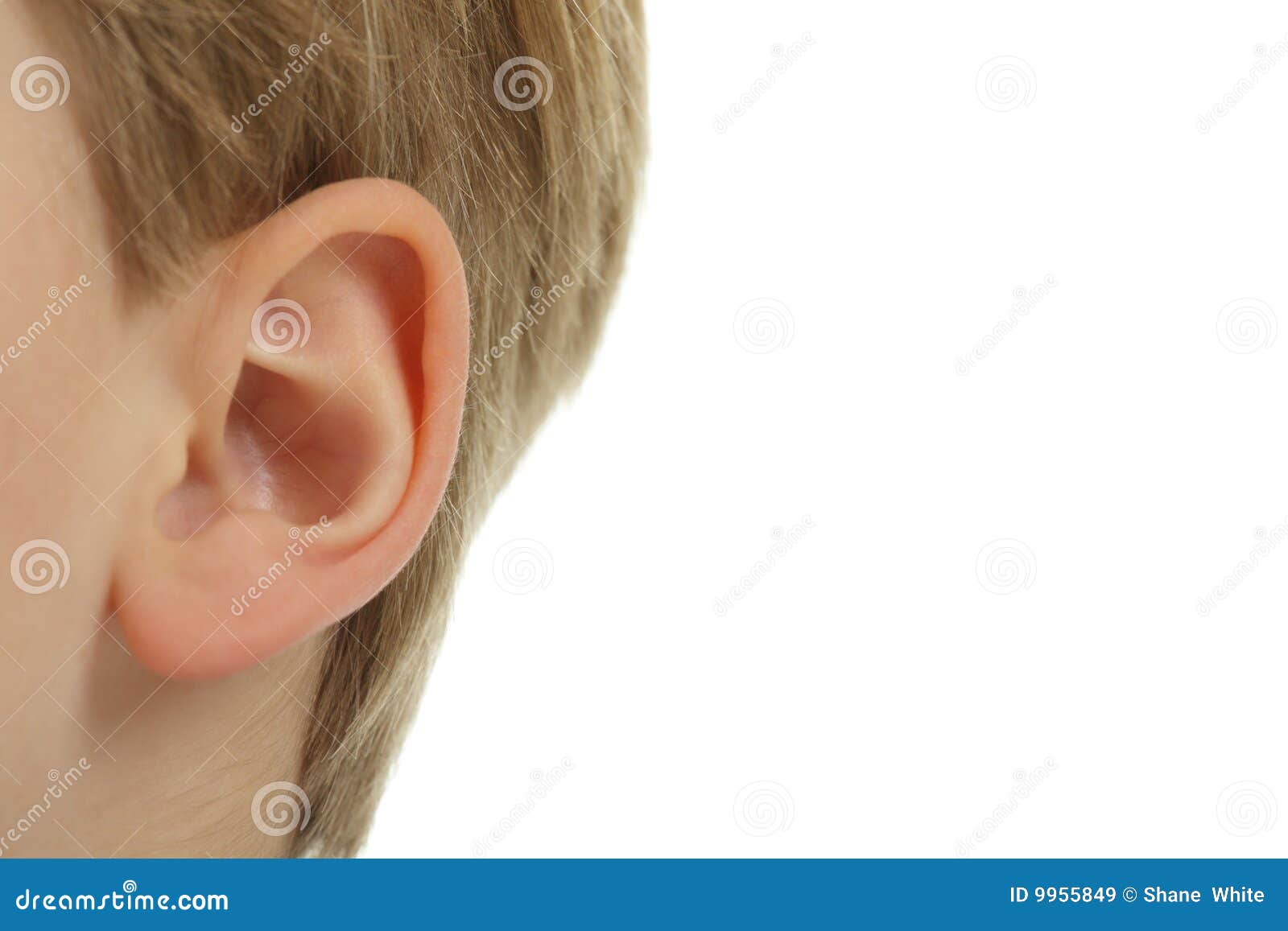 L'orecchio. immagine stock. Immagine di copia, caucasico - 9955849