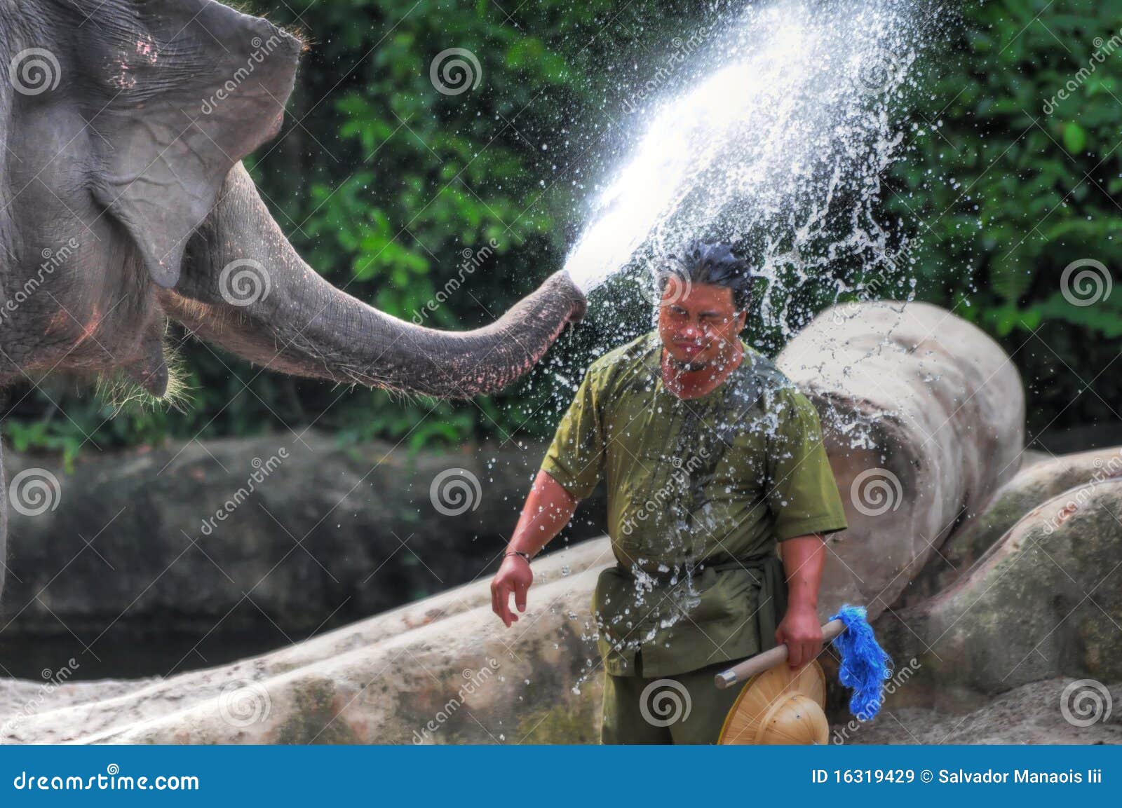 ?l?phant Asiatique Et Son Mahout Image stock éditorial - Image du ...