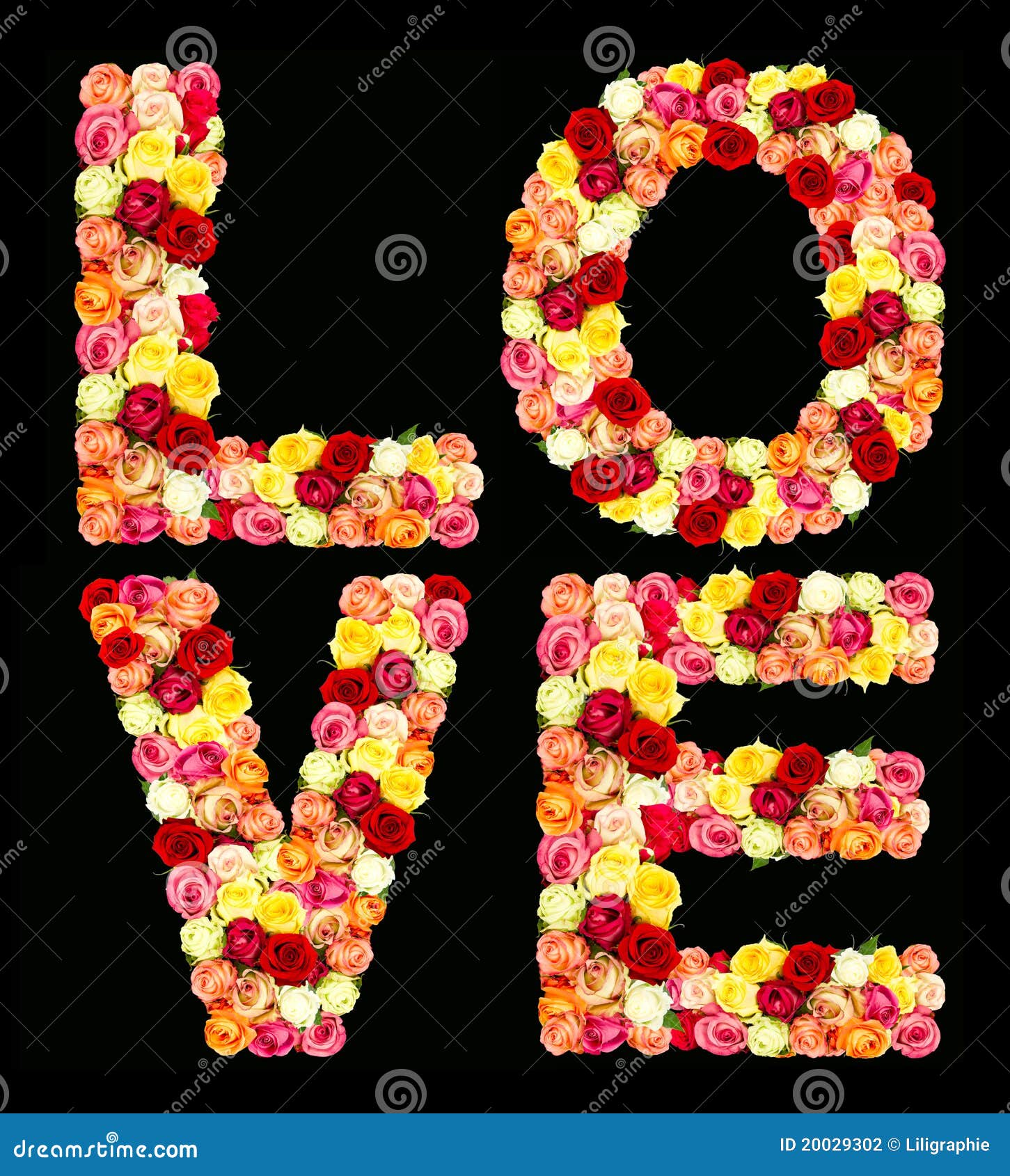 L, roses flower alphabet stock illustration. Illustration of pink ...