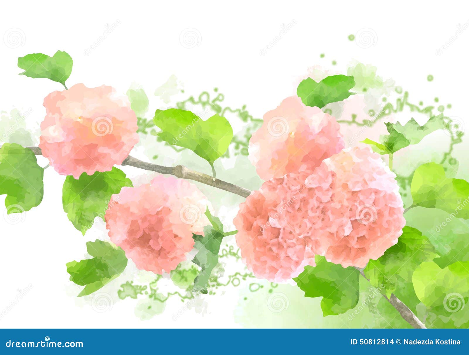 La Acuarela Del Vector Florece La Hortensia Ilustración del Vector ...