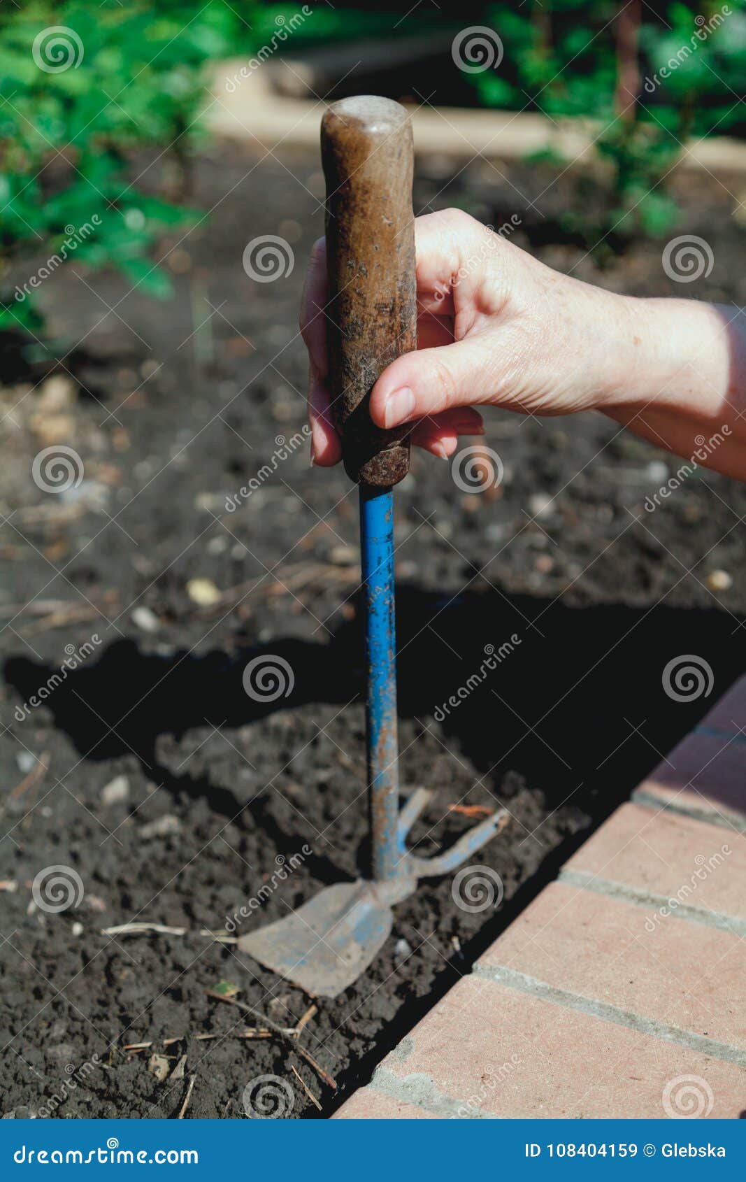 La Azada Peinada Mano Maneja La Tierra Imagen de archivo - Imagen de ...