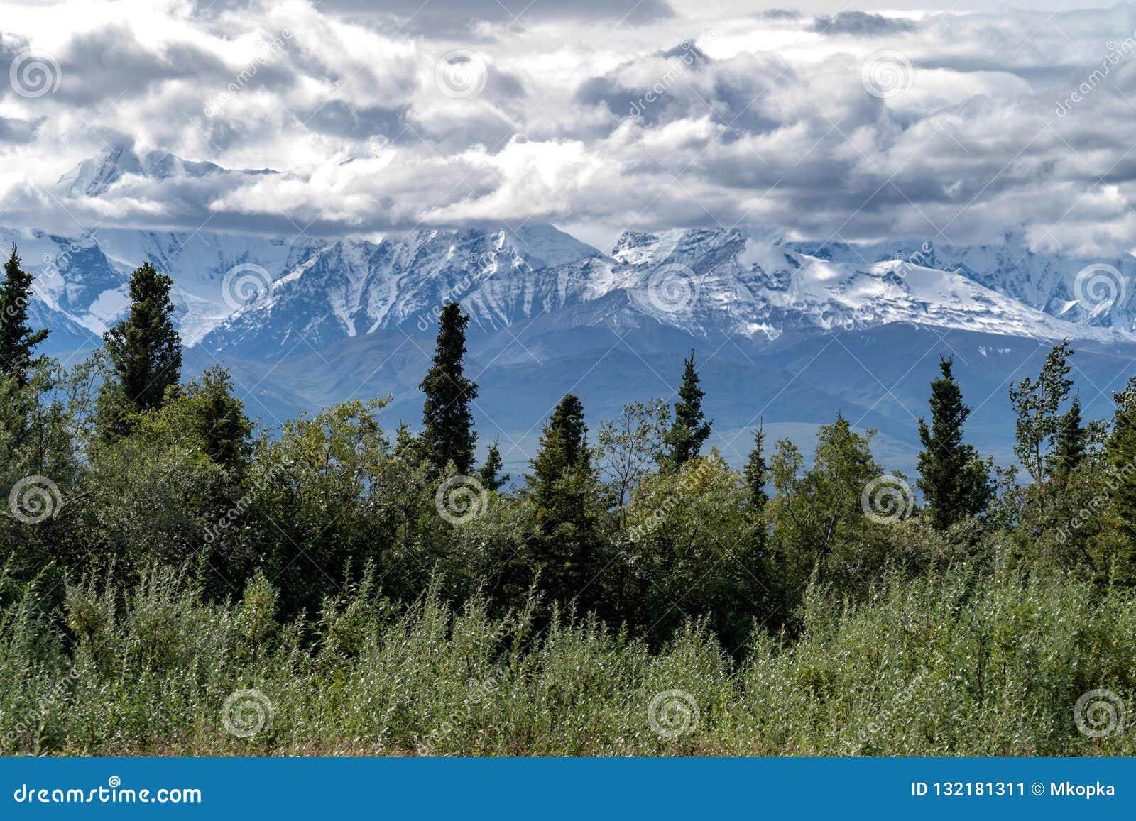 La Bella Foresta Boreale Lungo Richardson Highway Mostra La D Immagine ...
