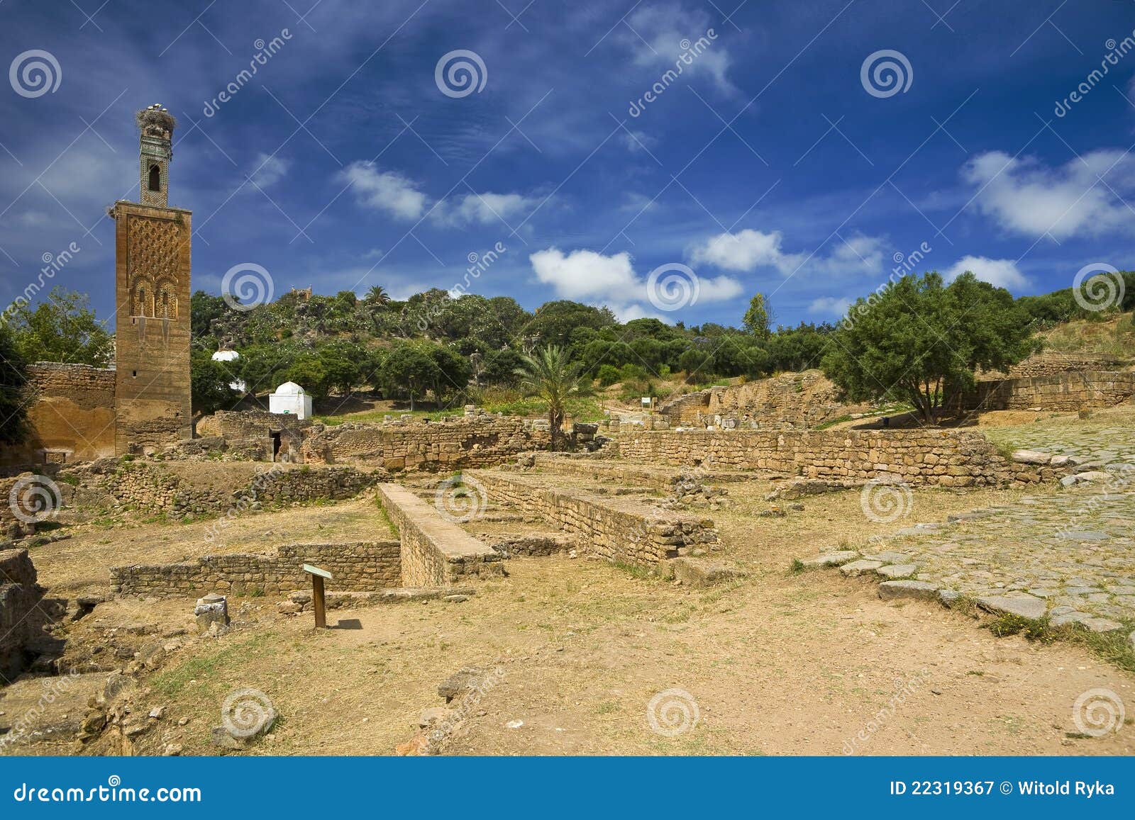 La Citadelle De Chellah - Les Ruines Romaines Image stock - Image du ...