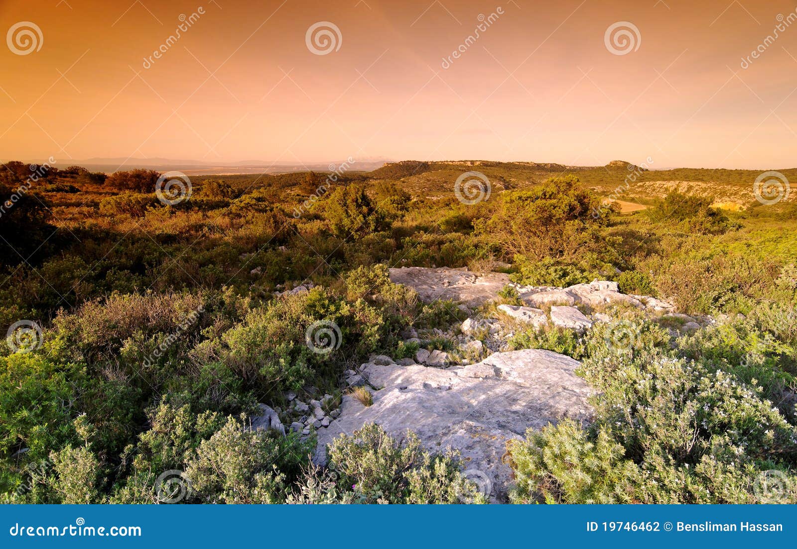 La Clape Hills in Languedoc Country Stock Photo - Image of outdoor ...