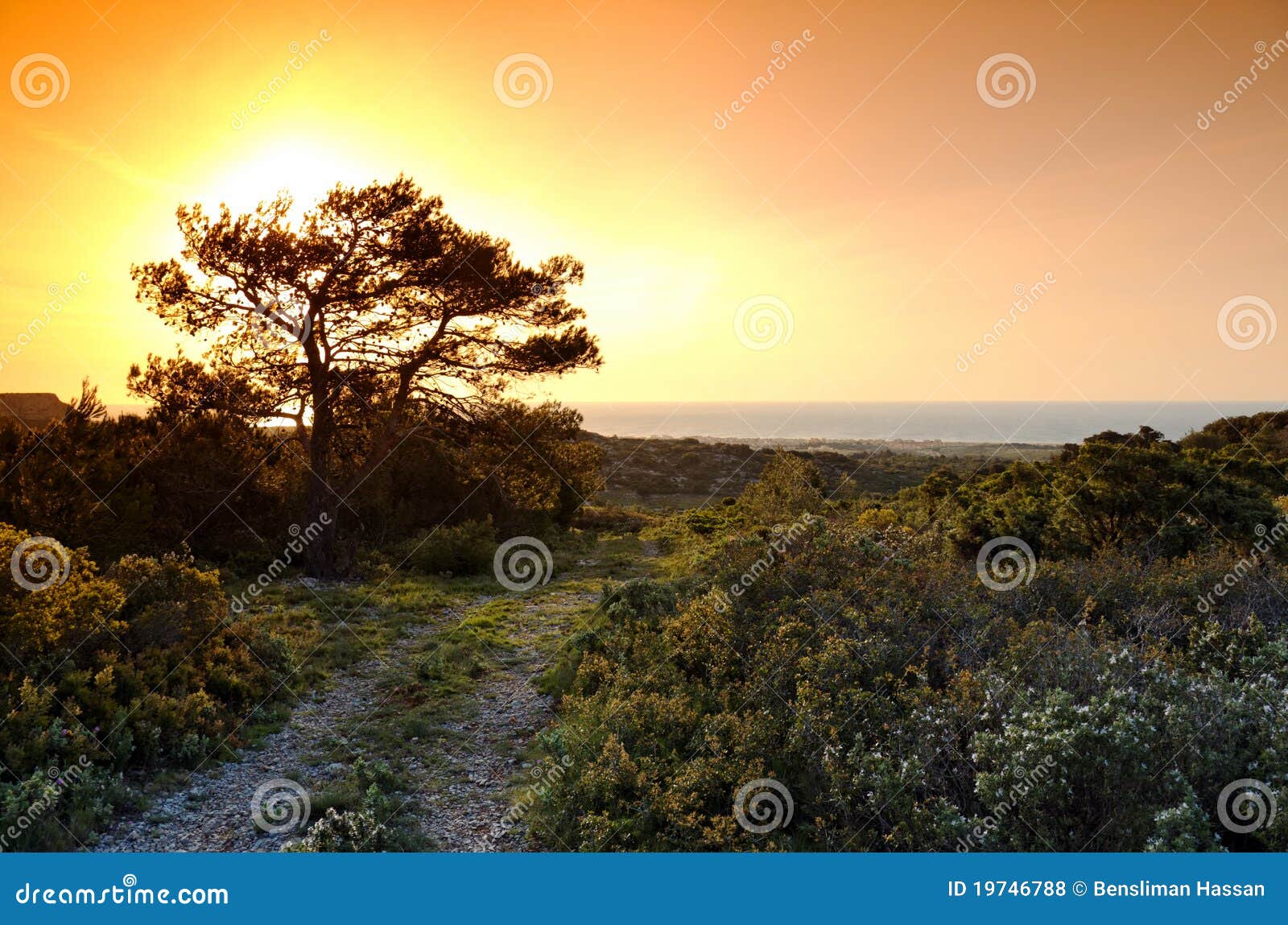 La Clape Hills in Languedoc Country Stock Photo - Image of travel ...