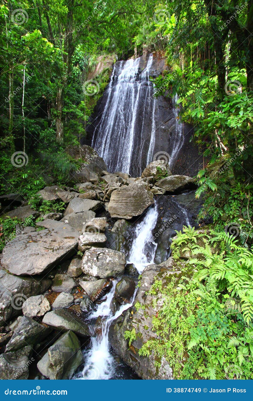 La Coca Falls Puerto Rico immagine stock. Immagine di dichiara - 38874749