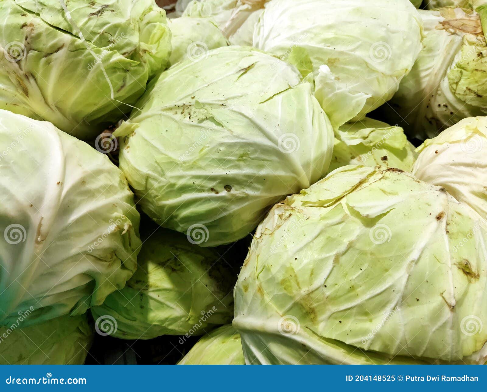 La Col Puede Comerse Cruda O Cocida De Antemano Imagen de archivo - Imagen de comido, plato ...