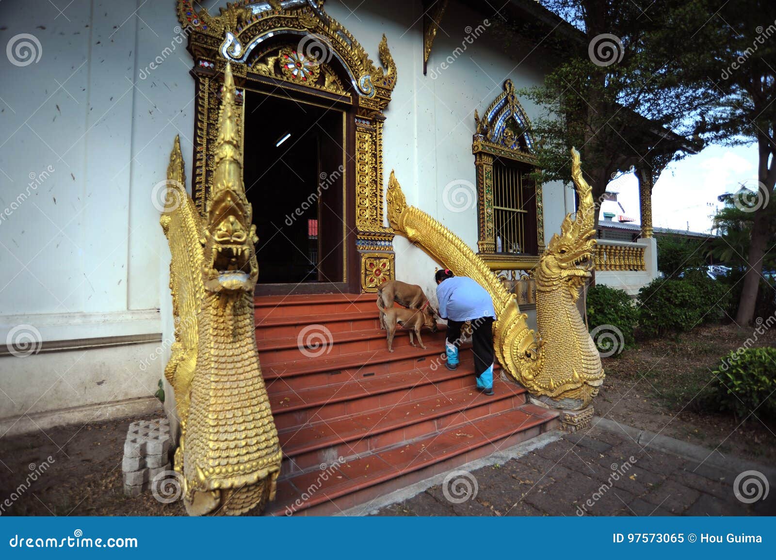La Comida De La Mujer El Perro En El Templo Budista Imagen editorial ...