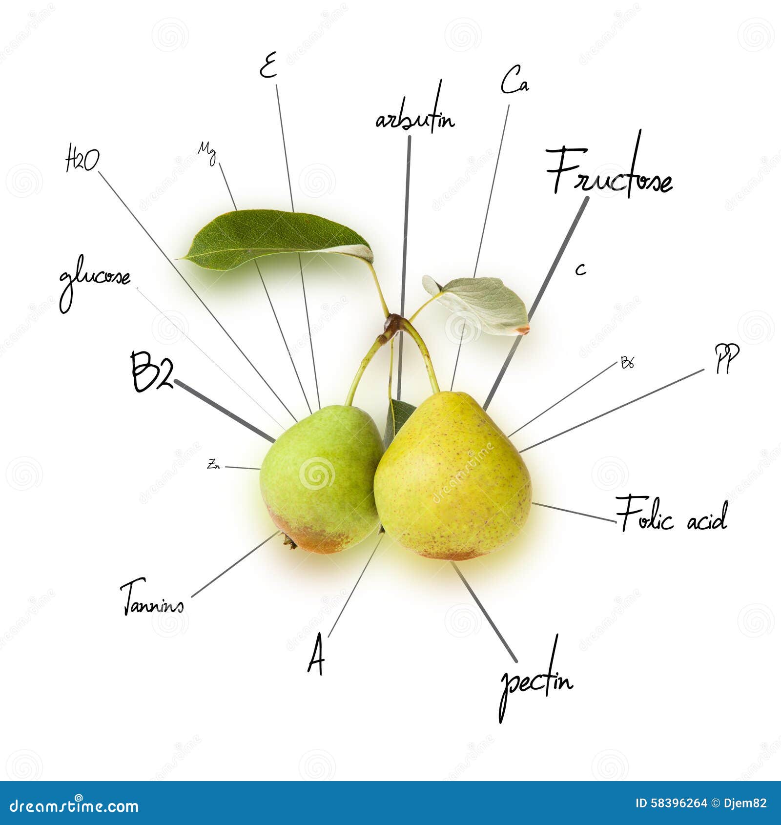 La Composición Química De La Pera Foto de archivo - Imagen de travieso ...