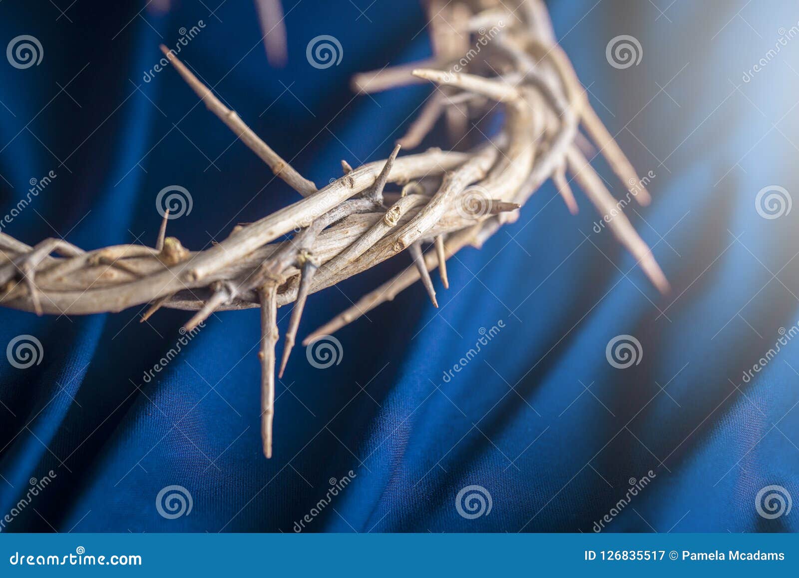 La Corona Delle Spine Che Jesus Wore Immagine Stock - Immagine di reale ...