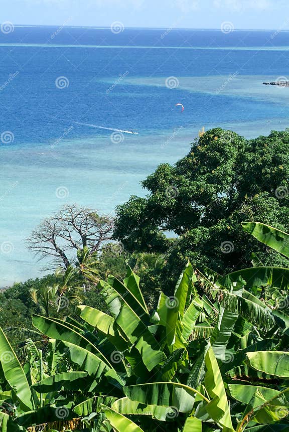 La Costa De La Isla De Mayotte Foto de archivo - Imagen de indio ...