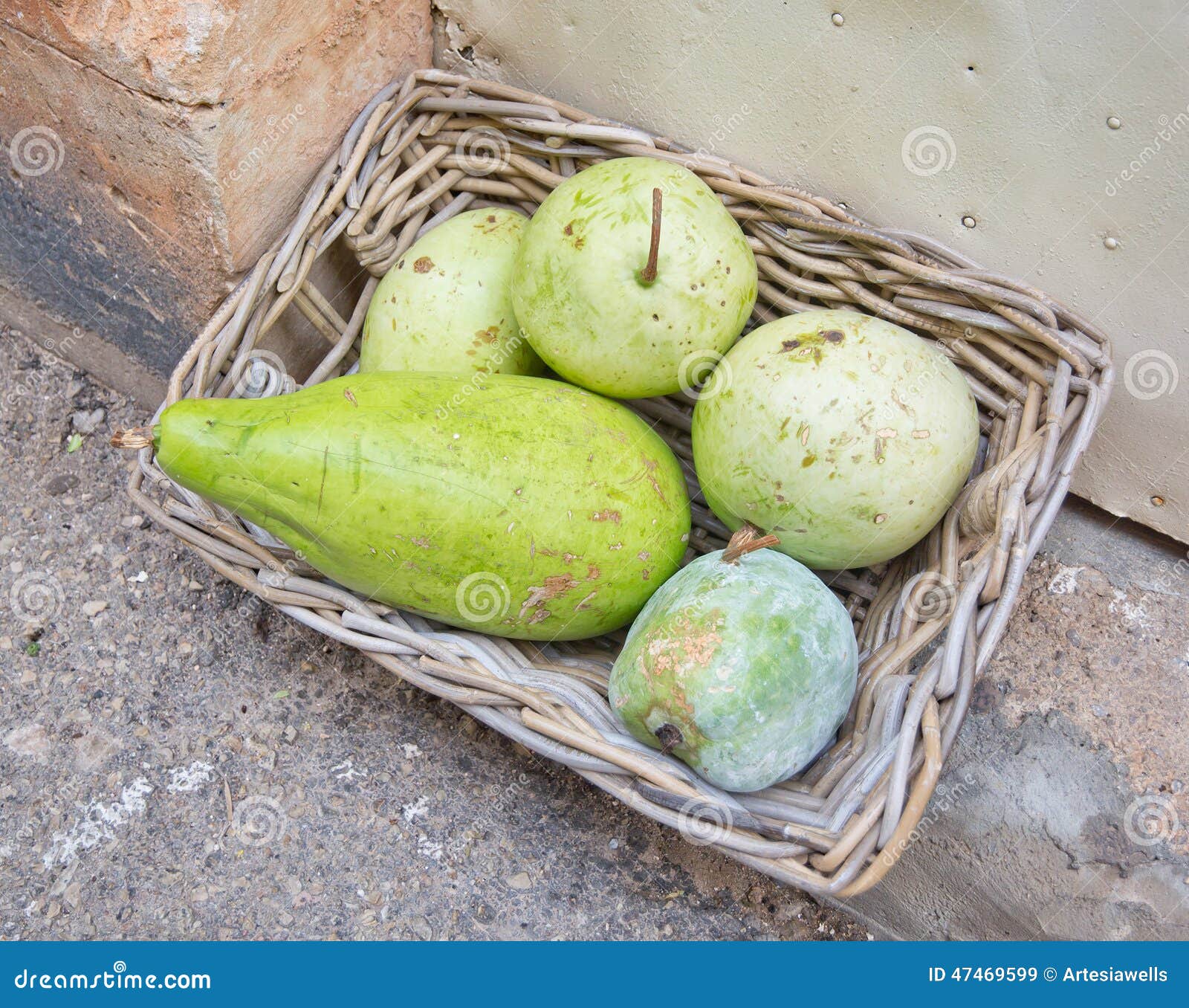 La Courge Verte Aiment Des Fruits Image stock - Image du panier, poires ...