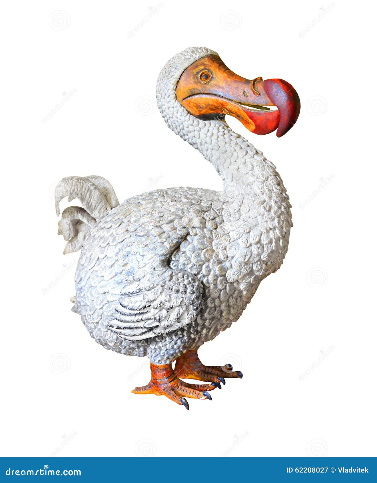 La DRONTE image stock. Image du flightless, écosystème - 62208027