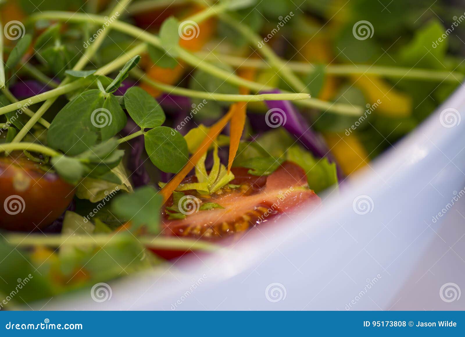 La Ensalada De La Comida Intercala La Cena De La Comida Del Postre Foto ...