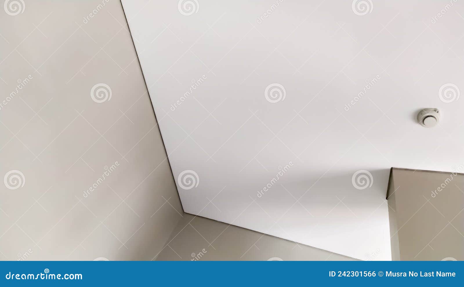 La Estructura Del Techo Del Edificio Con Un Color Elegante Foto de ...