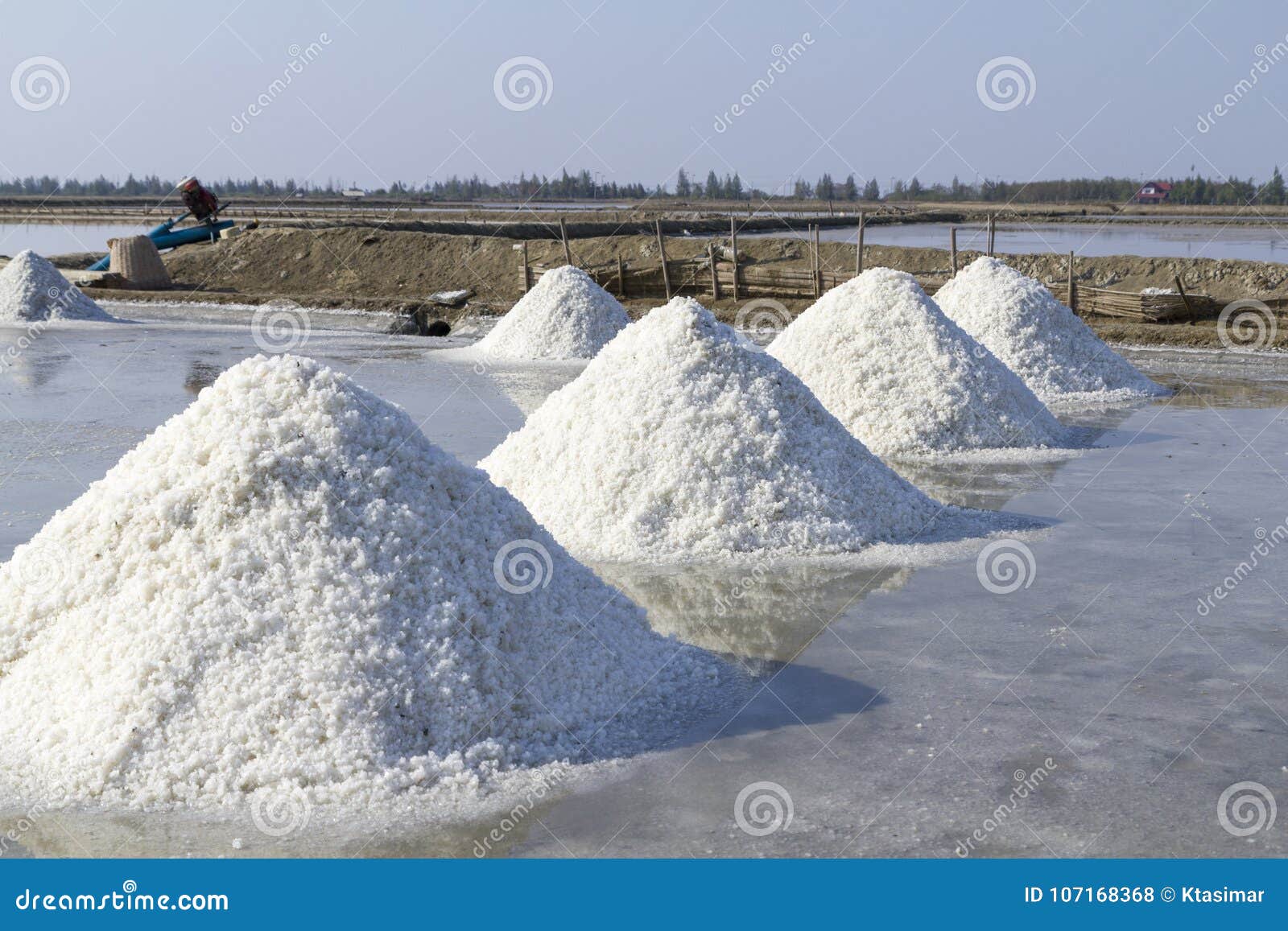 La Fabrication Du Sel De Mer Dans La Ferme De Sel Photo stock - Image ...