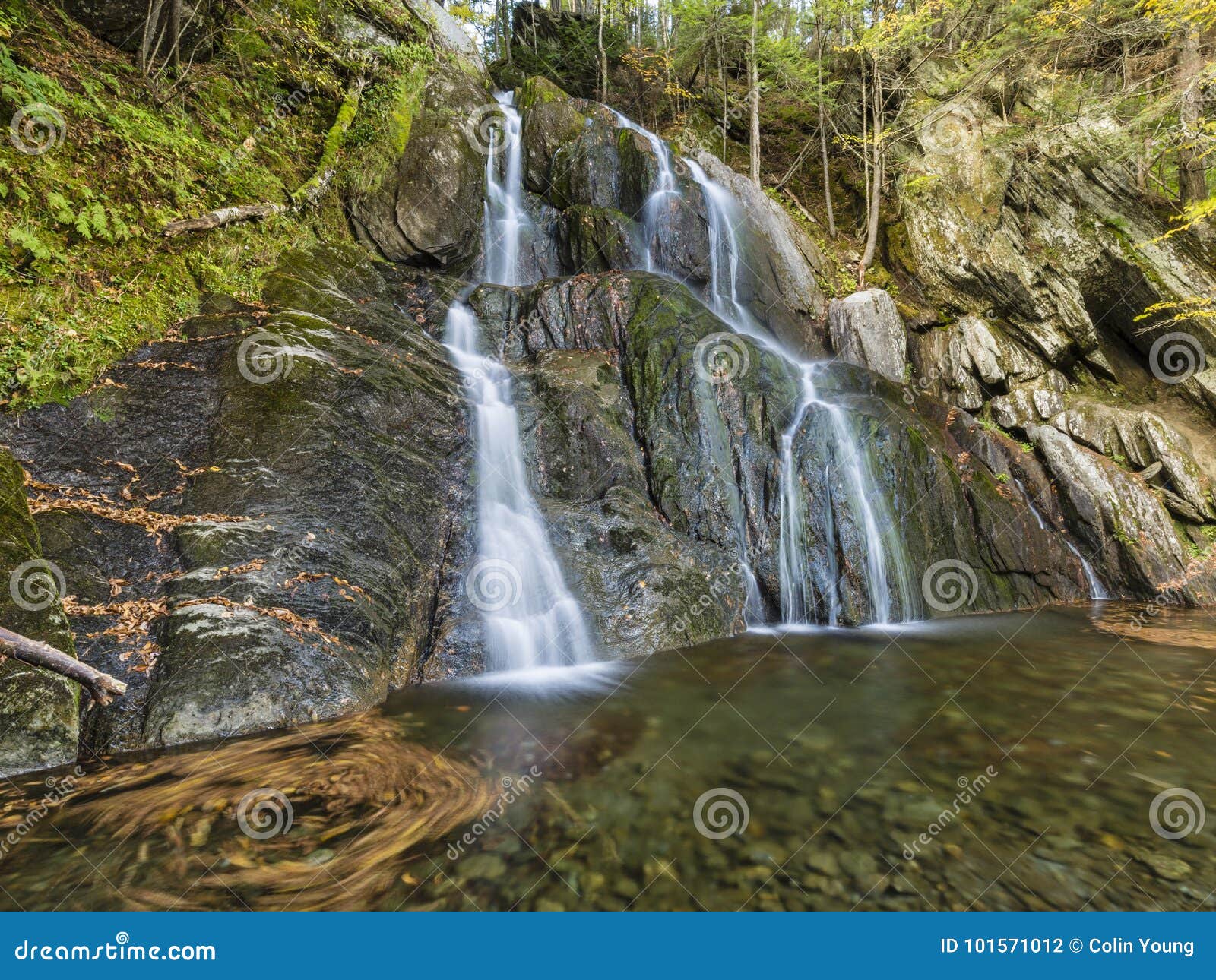 La Feuille Tourbillonne Dans La Piscine Verte Photo stock - Image du ...