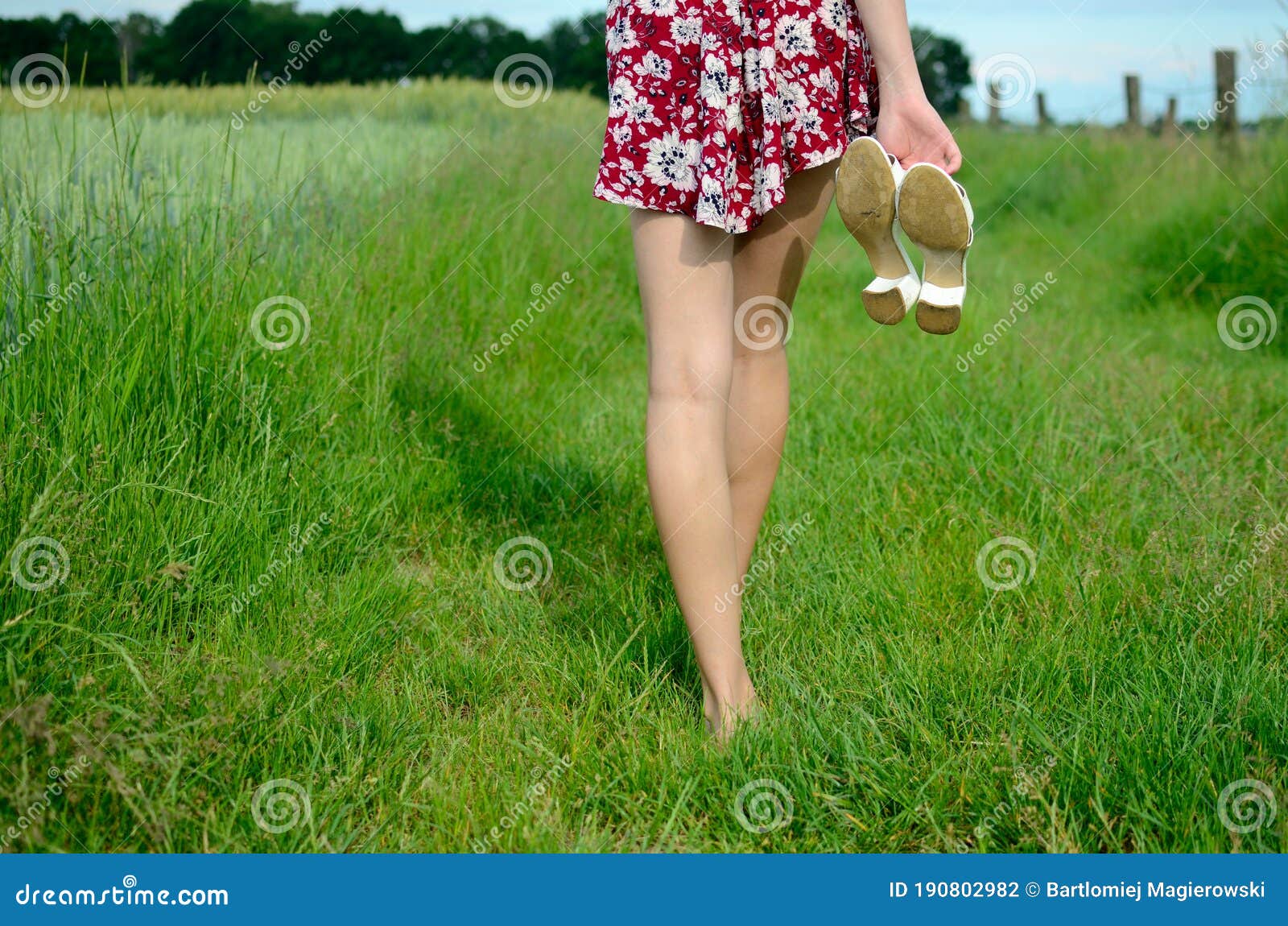 La Fille Aux Pieds Nus Marche Sur Lherbe Photo Stock Image Du Normal
