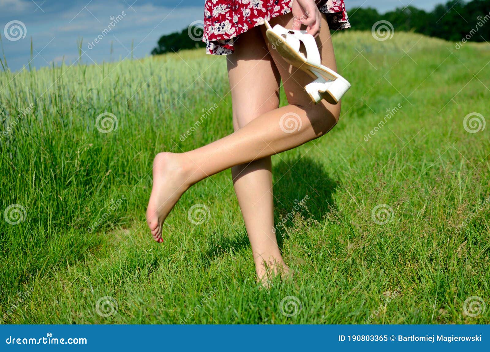 La Fille Aux Pieds Nus Marche Sur Lherbe Image Stock Image Du Forme