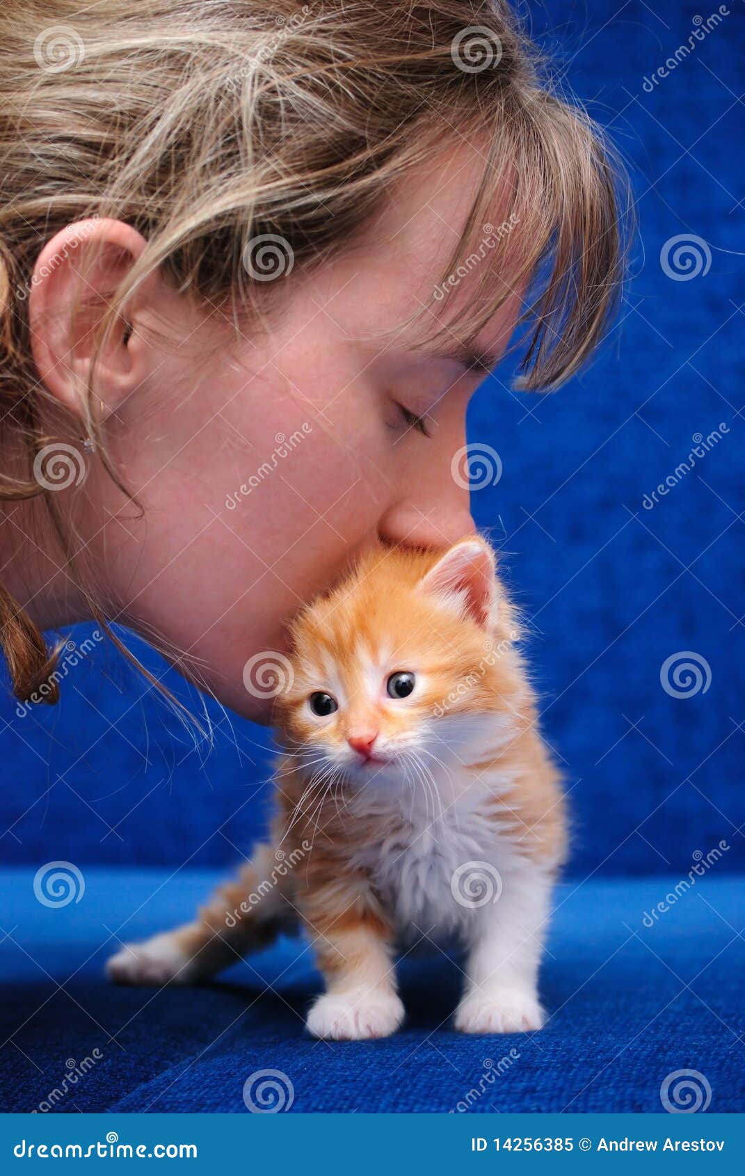 767 Caresse De Jeune Fille Avec Le Chaton Photos Libres De Droits Et