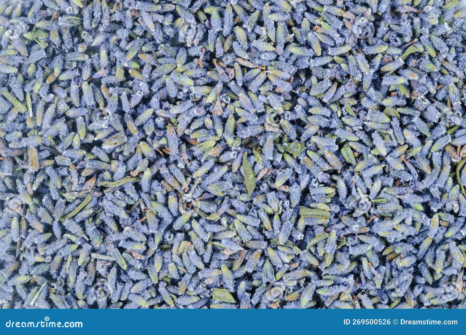 La Flor De Lavanda Seca Texturada Como Fondo Foto de archivo - Imagen ...