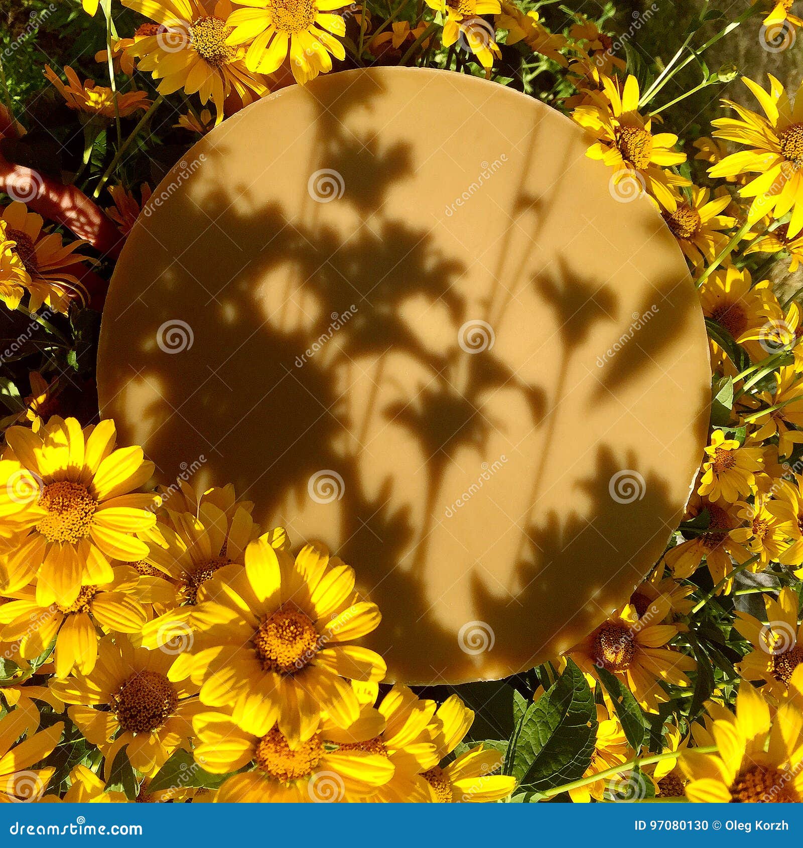 La flor del tema foto de archivo. Imagen de belleza, planta - 97080130