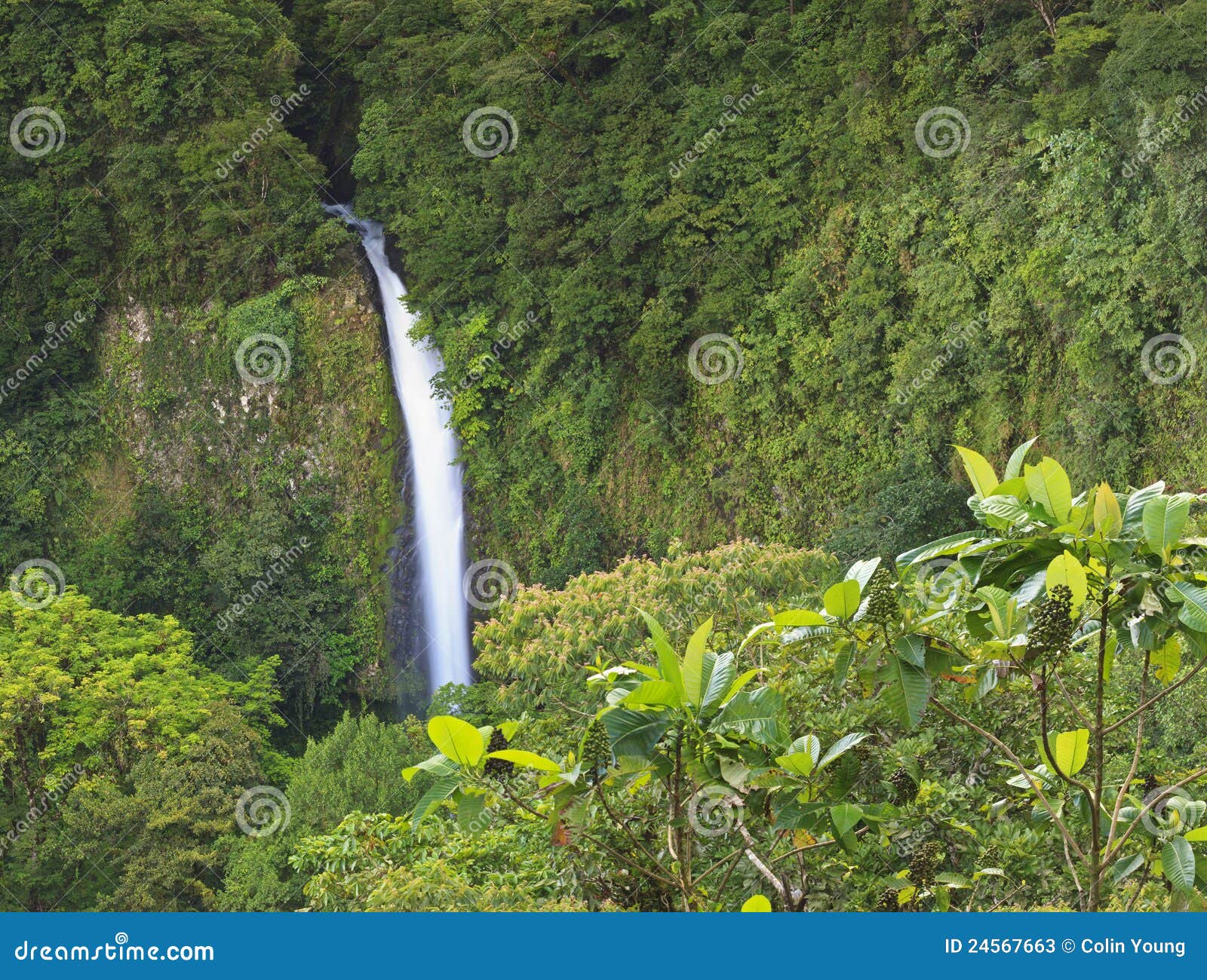 La Fortuna Waterfall Distant View Stock Image - Image of trees ...