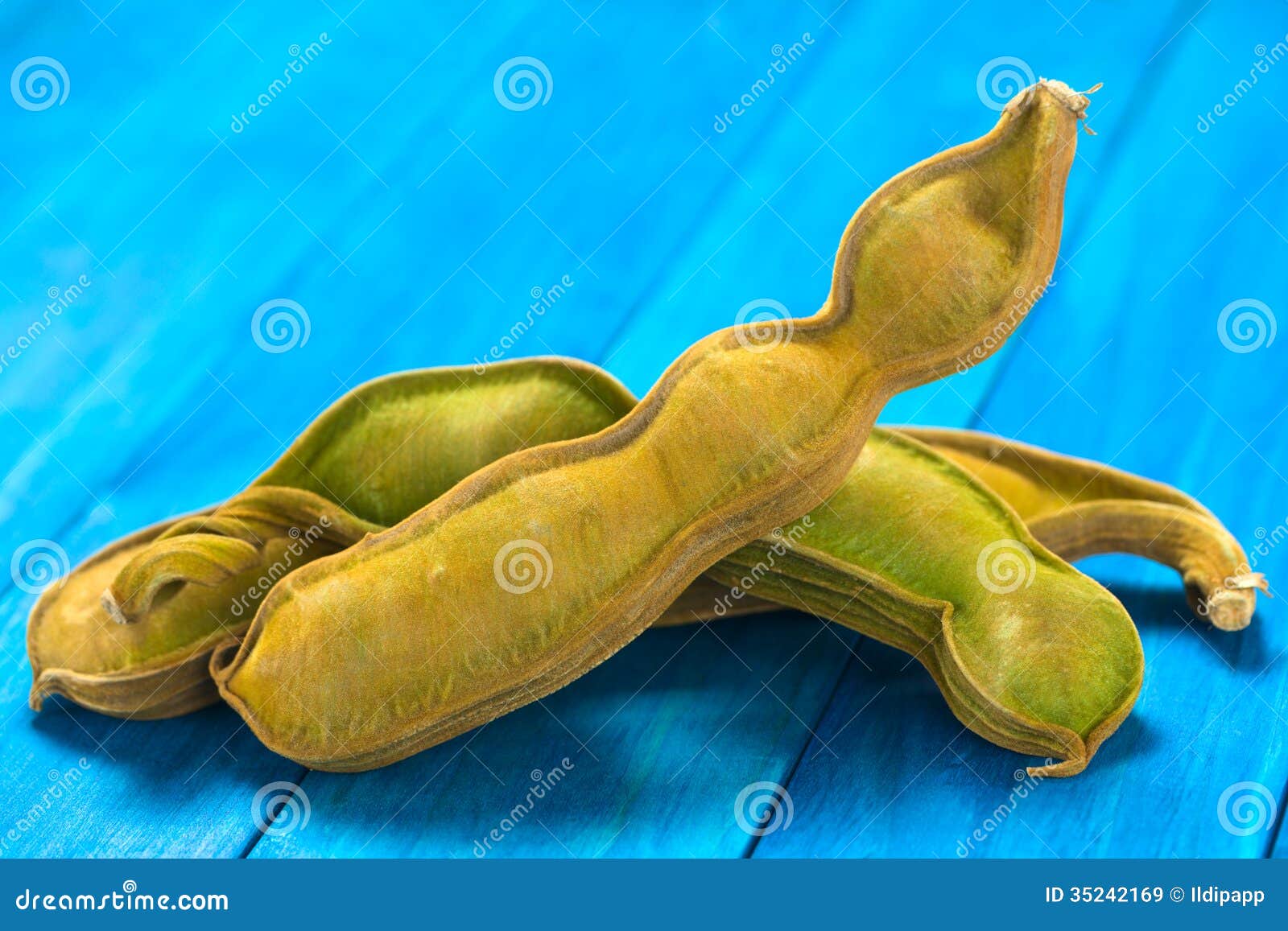 La Fruta Peruana Llamó Pacay Imagen de archivo - Imagen de alimento ...