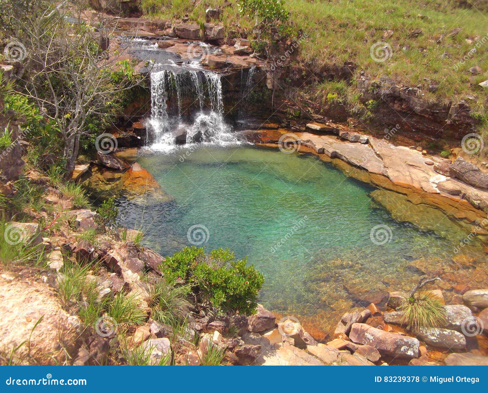 La Gran Sabana foto de stock. Imagem de desengate, venezuela - 83239378