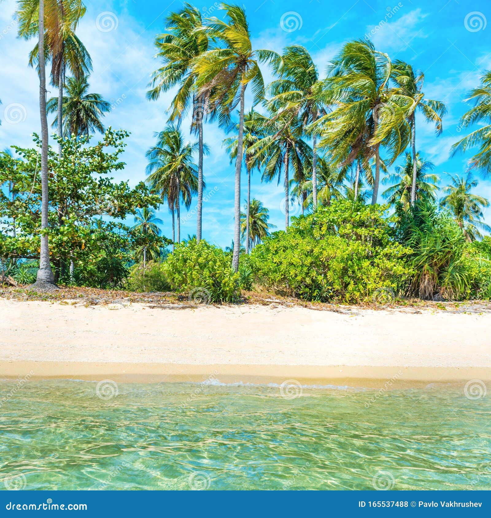 La Hermosa Playa De La Isla Tropical Con Palmeras Foto de archivo ... La Hermosa Playa De La Isla Tropical Con Palmeras Foto de archivo ...