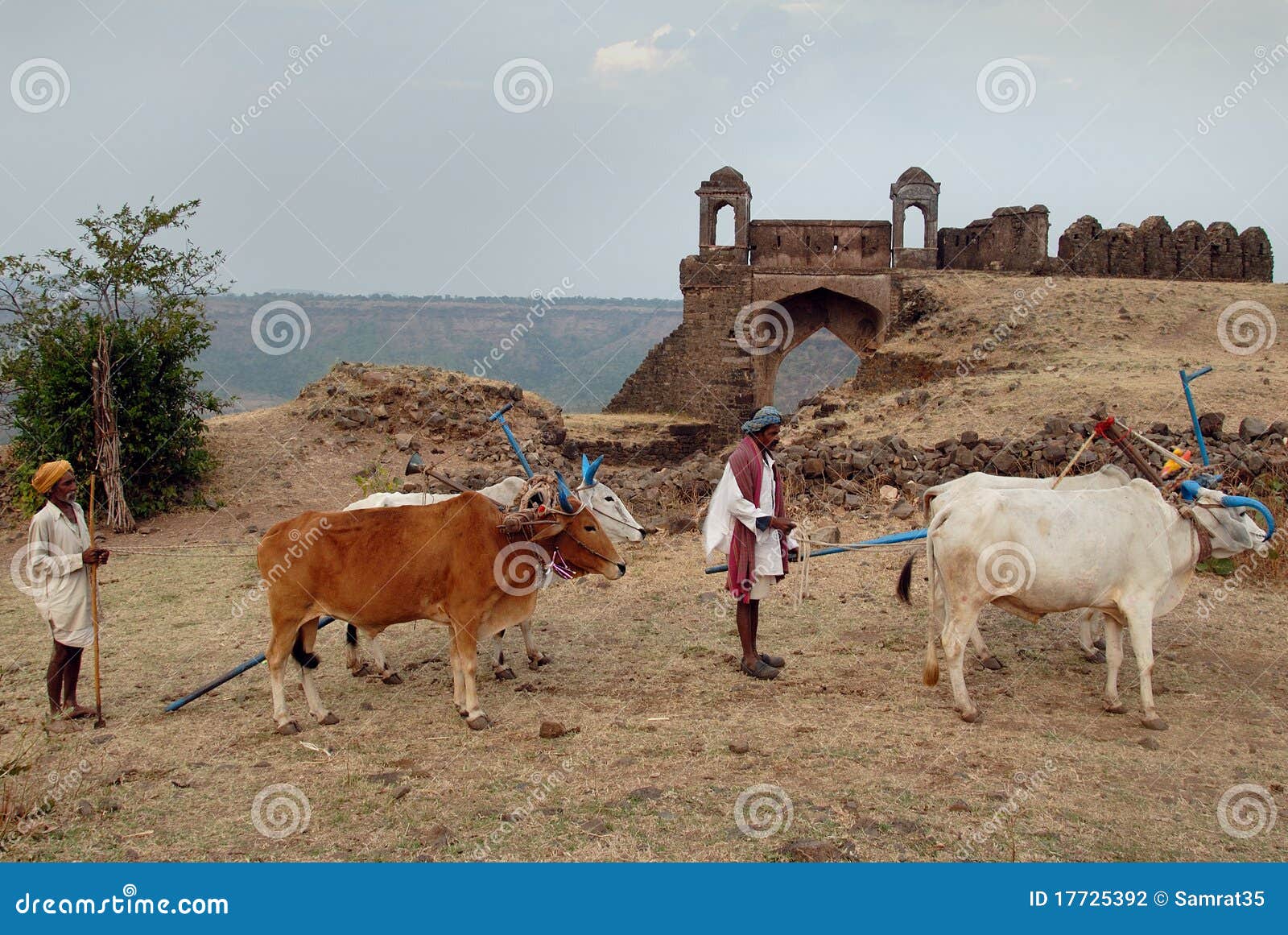 La India rural fotografía editorial. Imagen de horizontal - 17725392