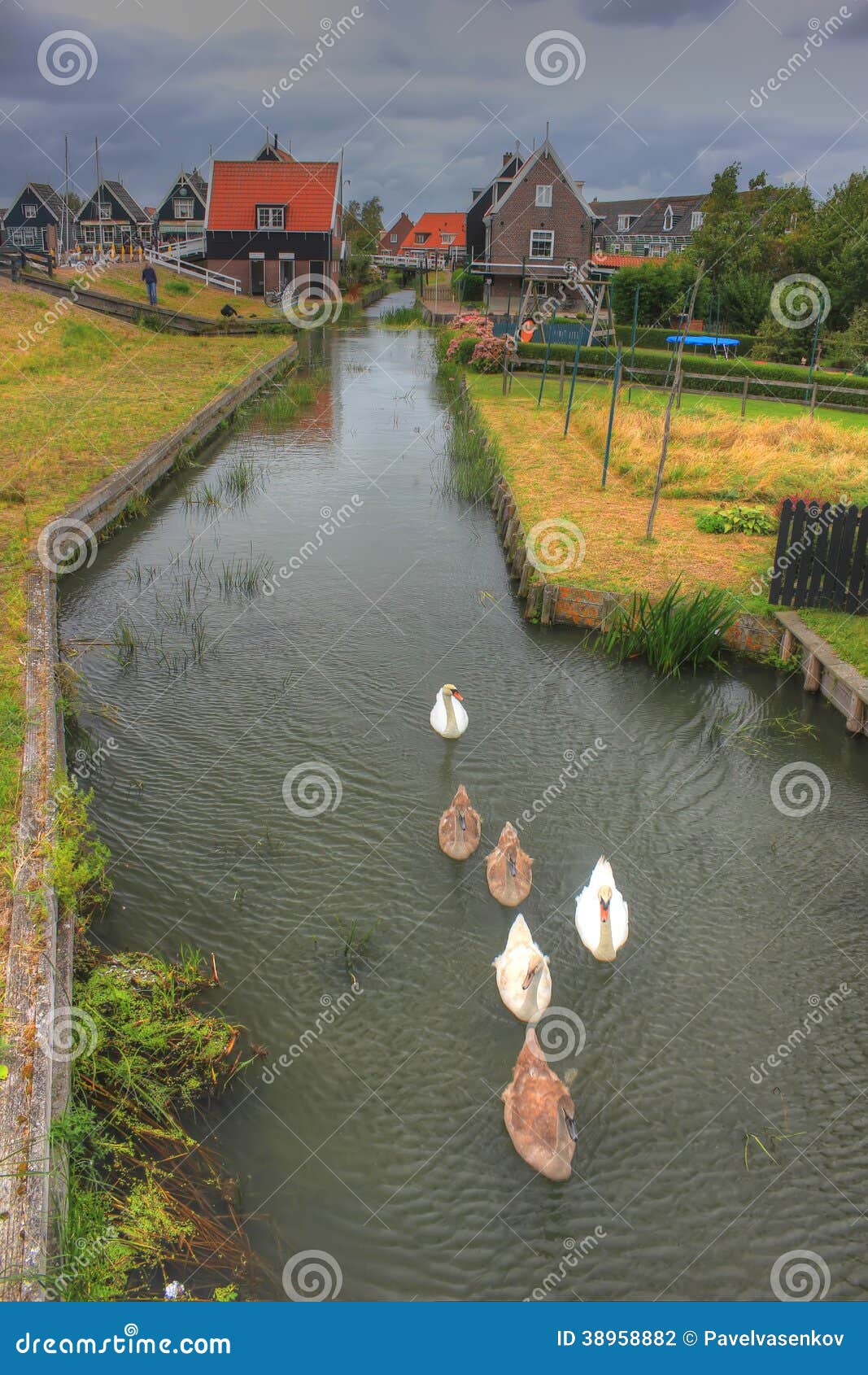 La Isla De Marken, Holanda, Países Bajos Foto de archivo - Imagen de ...