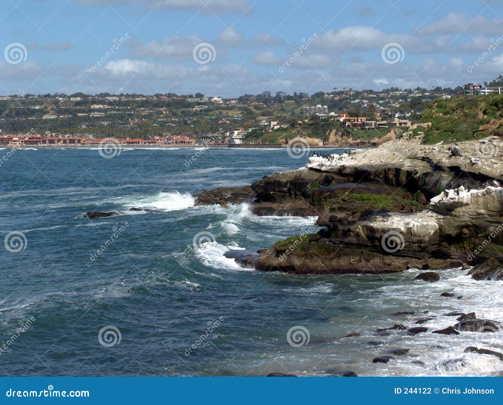 La Jolla, California Coastline Stock Photo - Image of line, diego: 244122