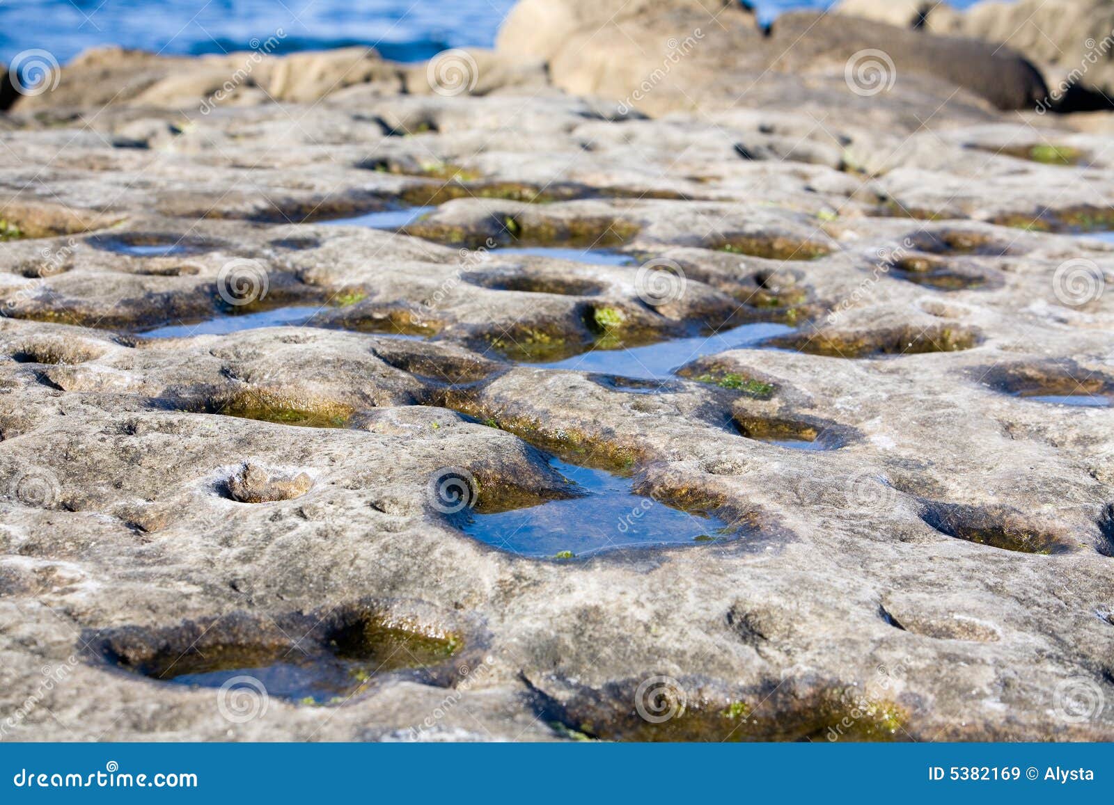 Tide Pools In Marineland, Florida At Sunrise Royalty-Free Stock ...