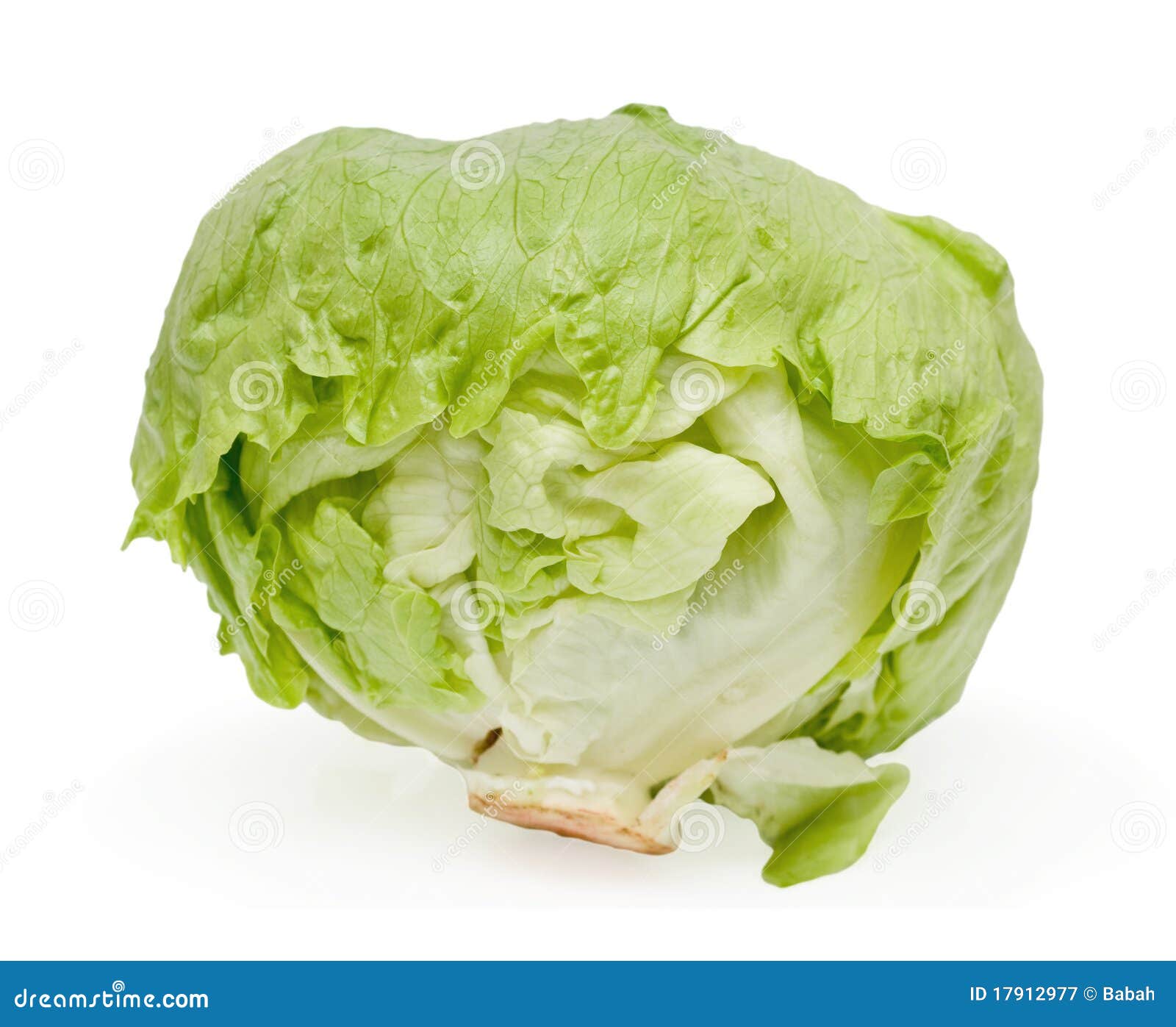 La lechuga de col aisló imagen de archivo. Imagen de pista - 17912977